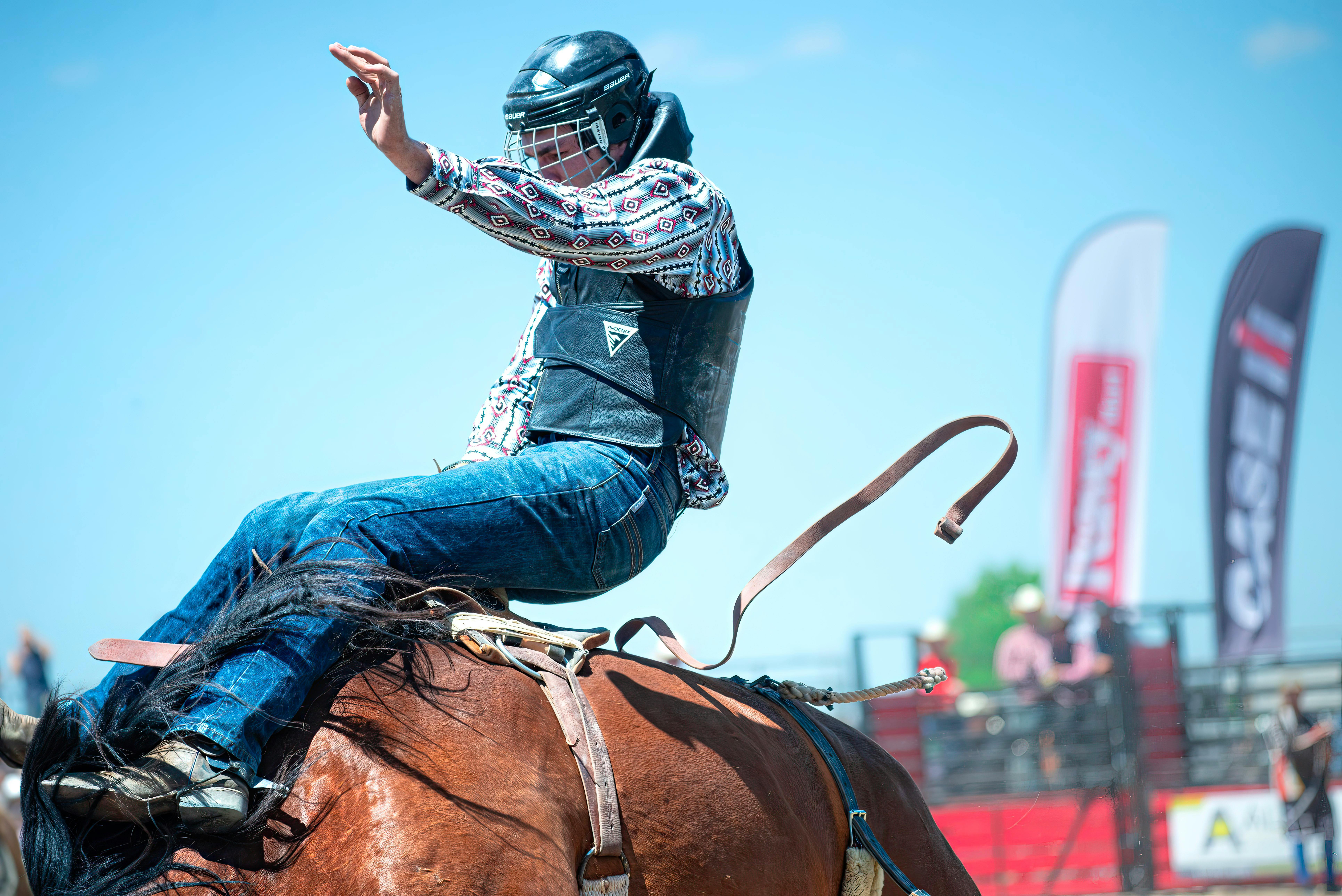 Dynamic Rodeo Cowboy Riding in Action · Free Stock Photo