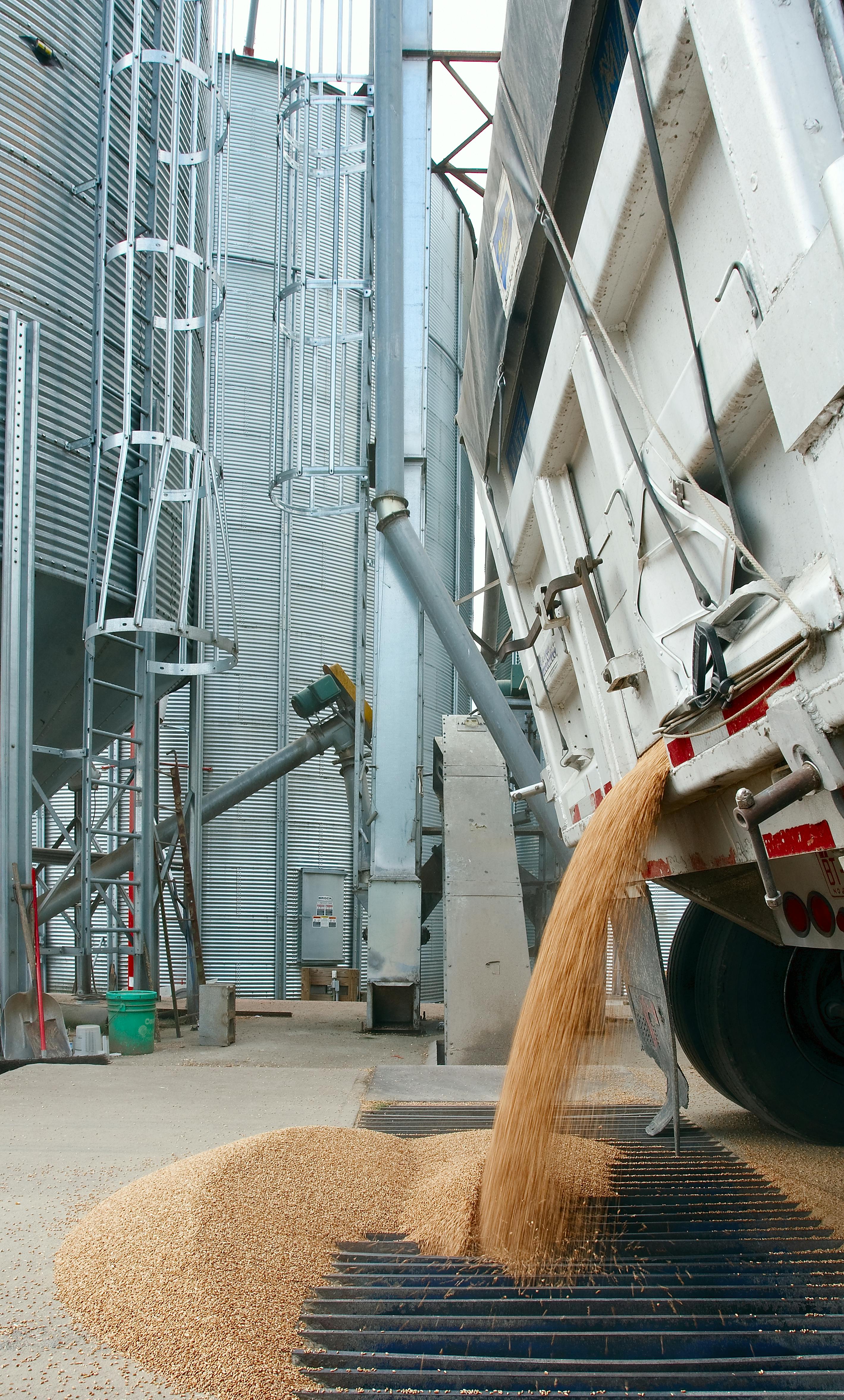 A Truck Dumping Grains for Storing · Free Stock Photo