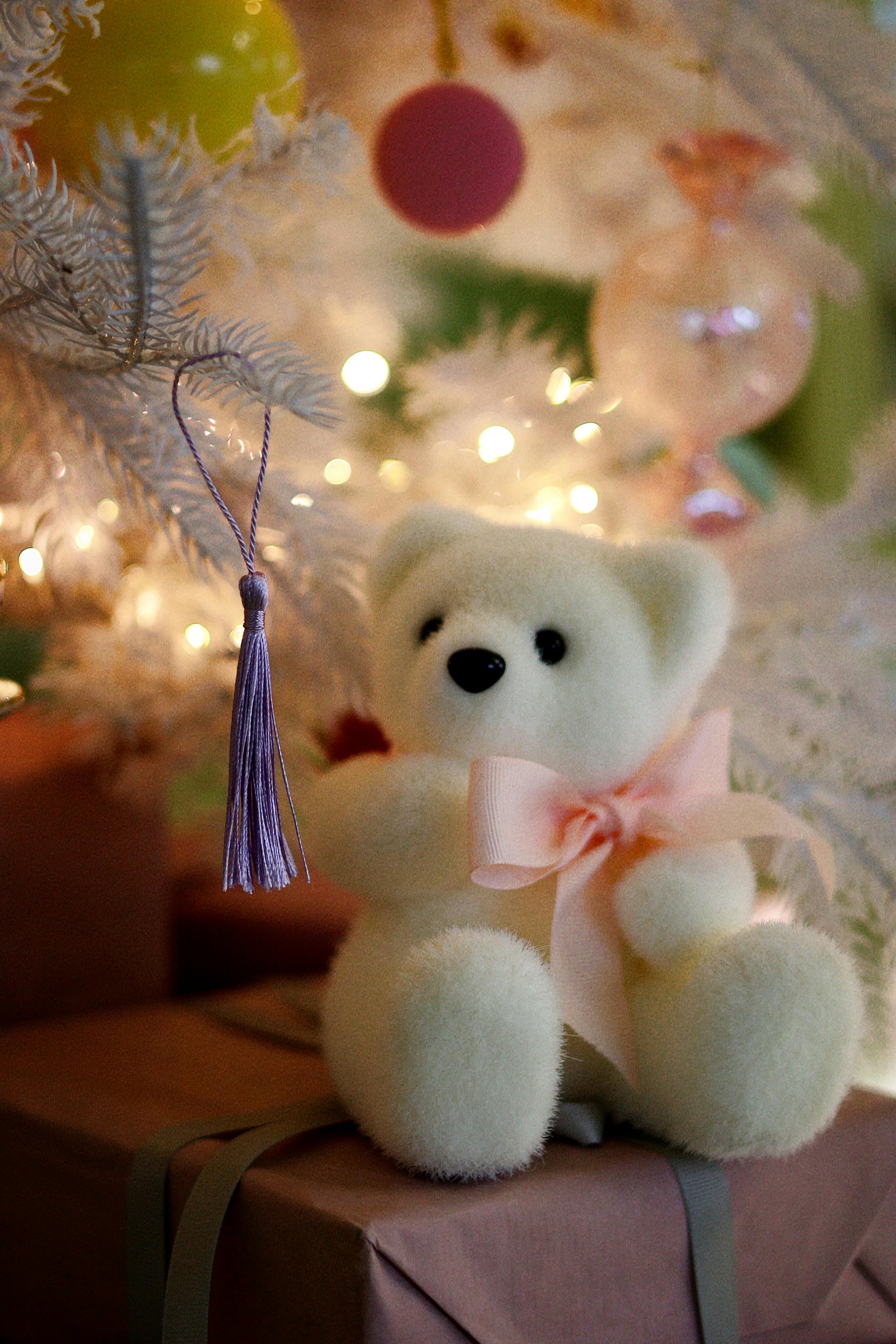Cozy Christmas Teddy Bear with Festive Lights · Free Stock Photo
