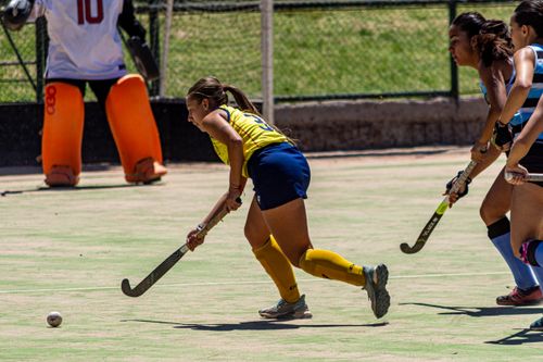 Female athlete playing field hockey in action · Free Stock Photo