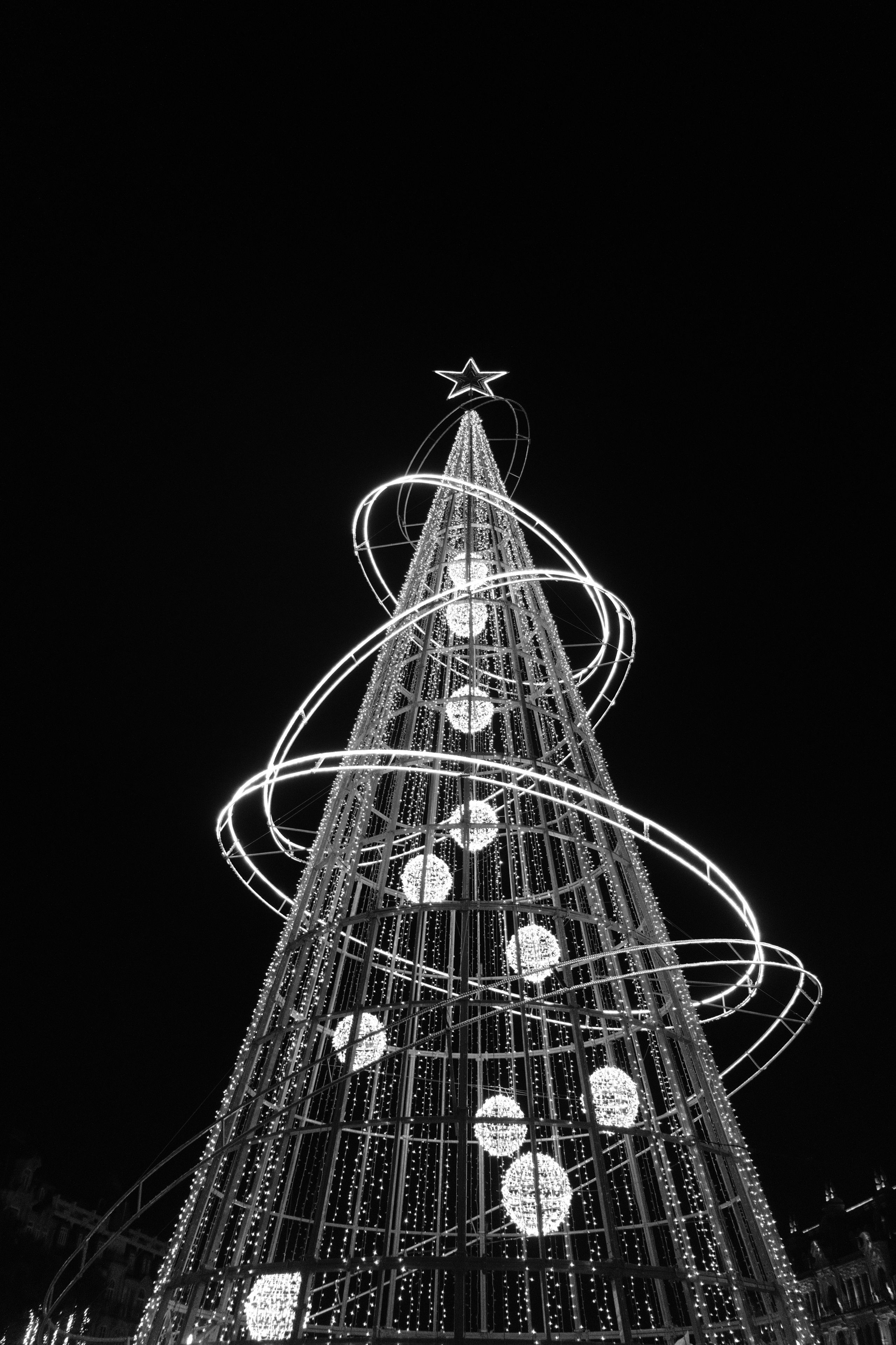 Illuminated Christmas Tree in Porto Night · Free Stock Photo
