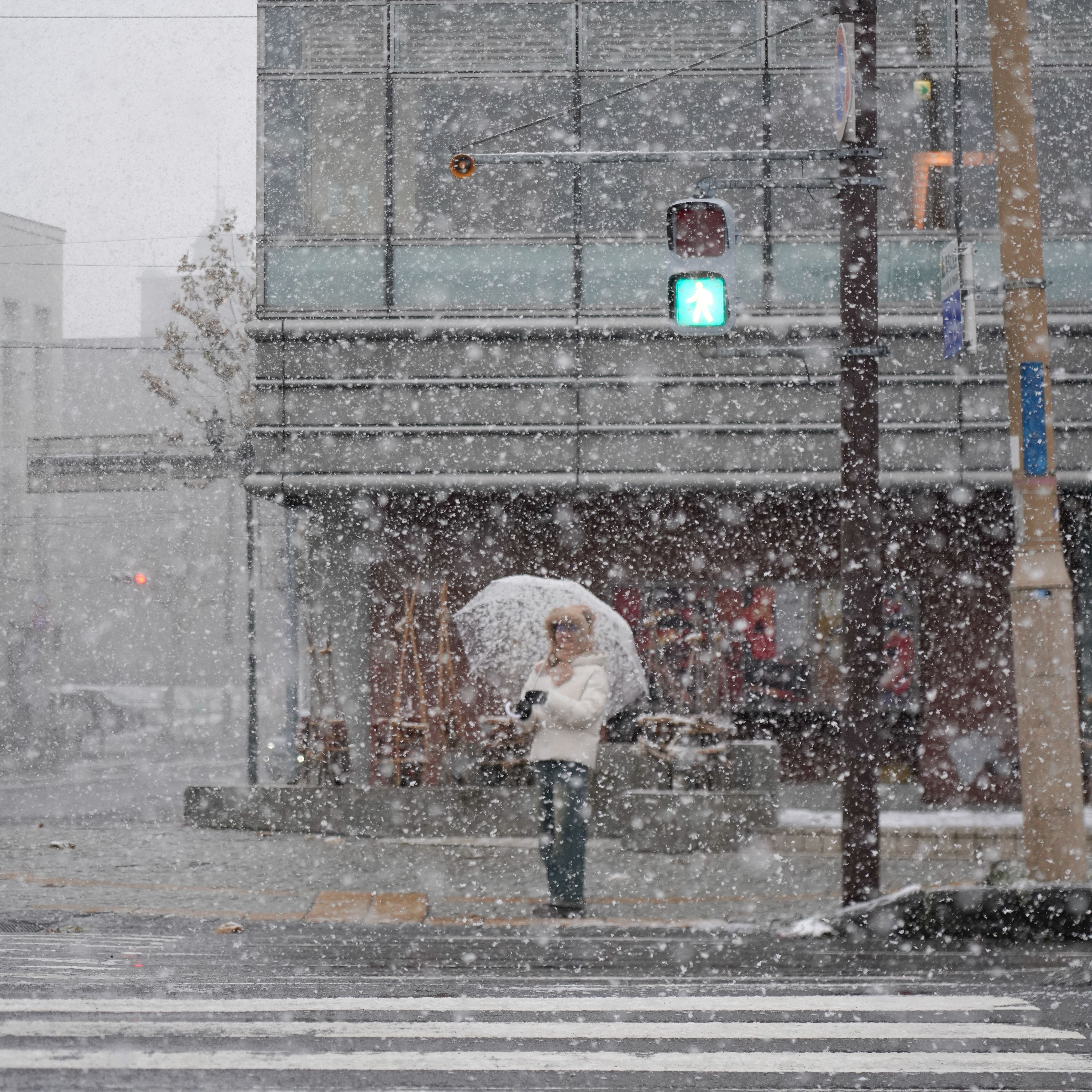 Snowy Urban Winter Scene with Pedestrian · Free Stock Photo