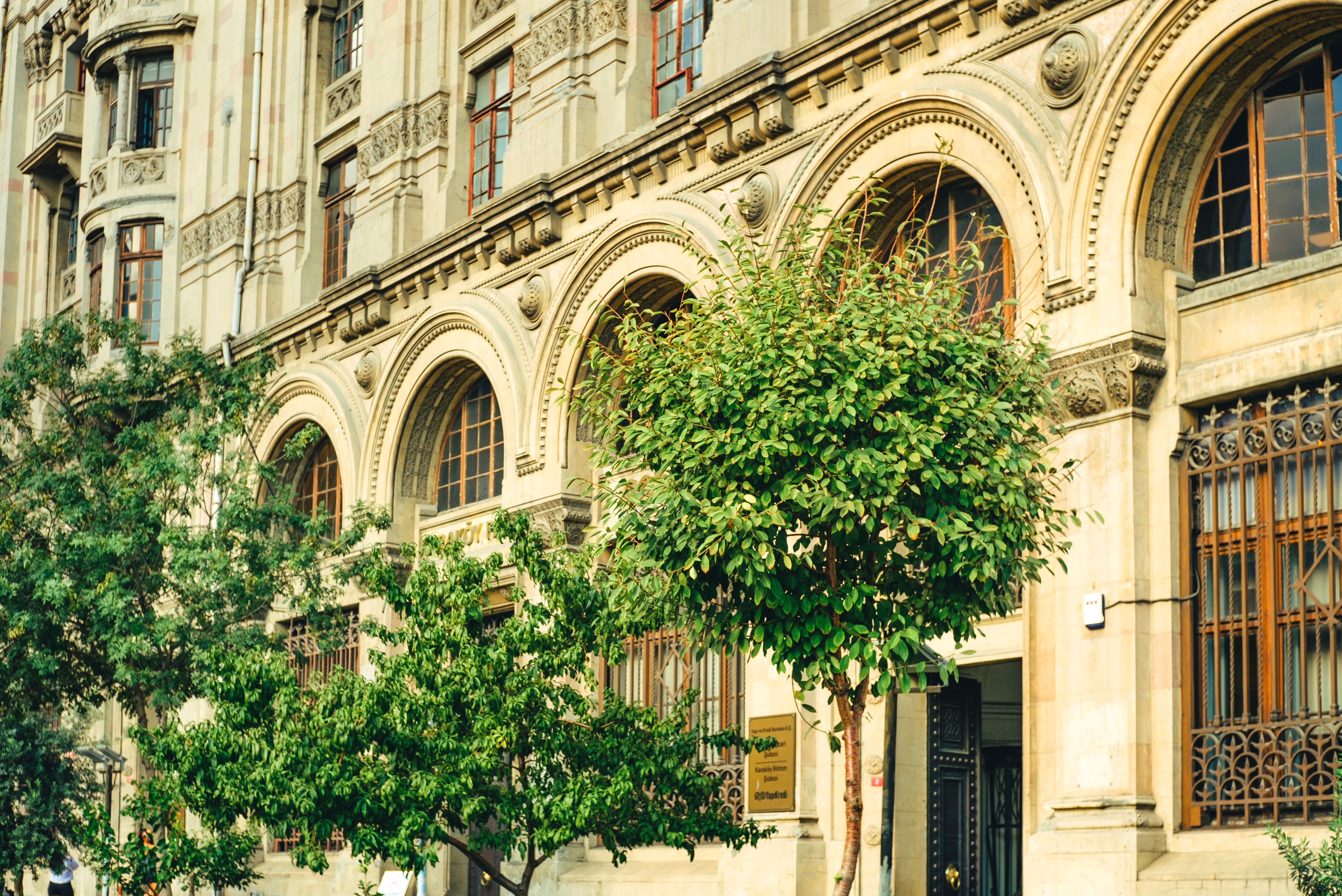 Historic European Building with Greenery · Free Stock Photo