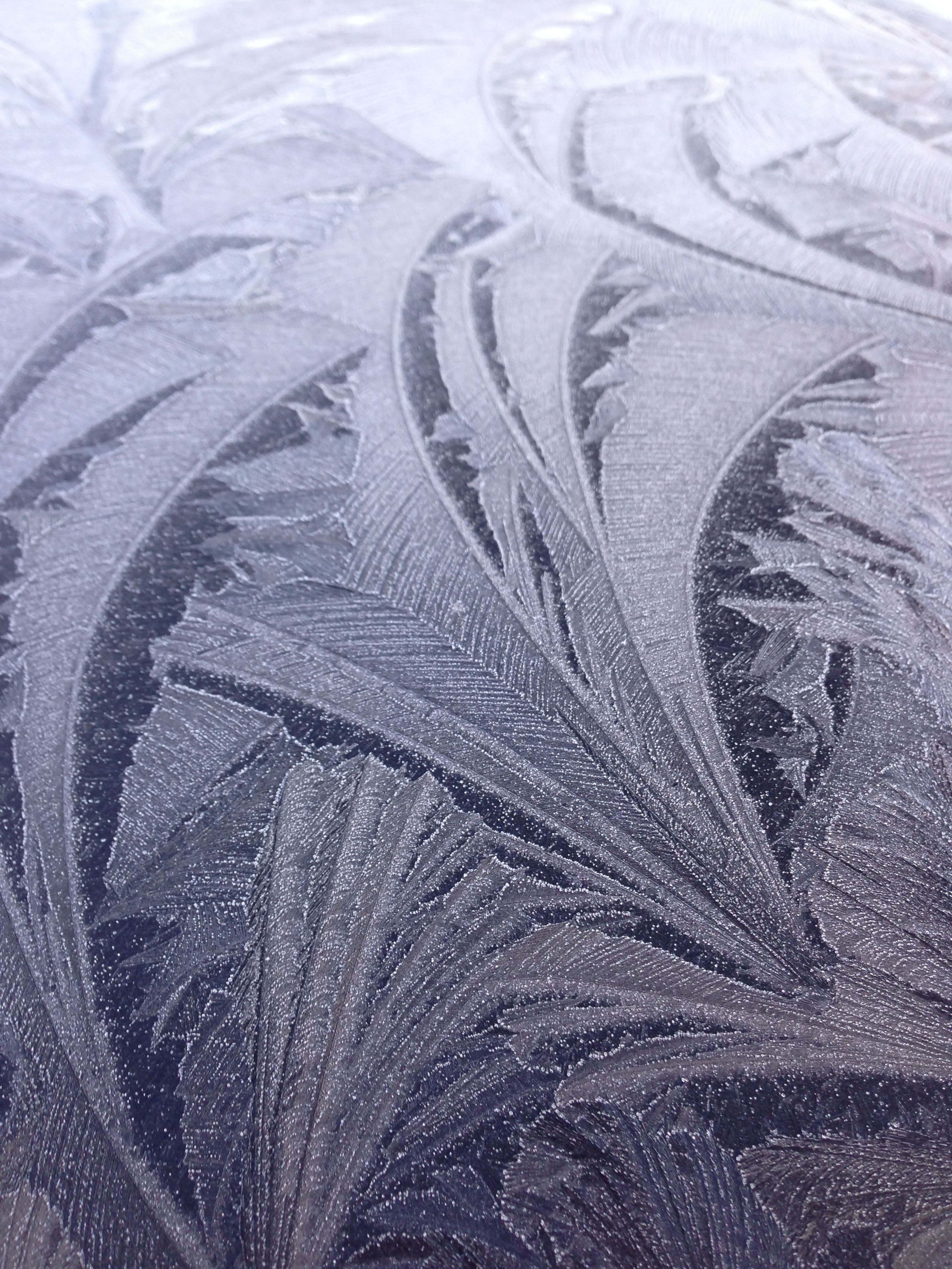 Intricate Frost Patterns on Car Window · Free Stock Photo