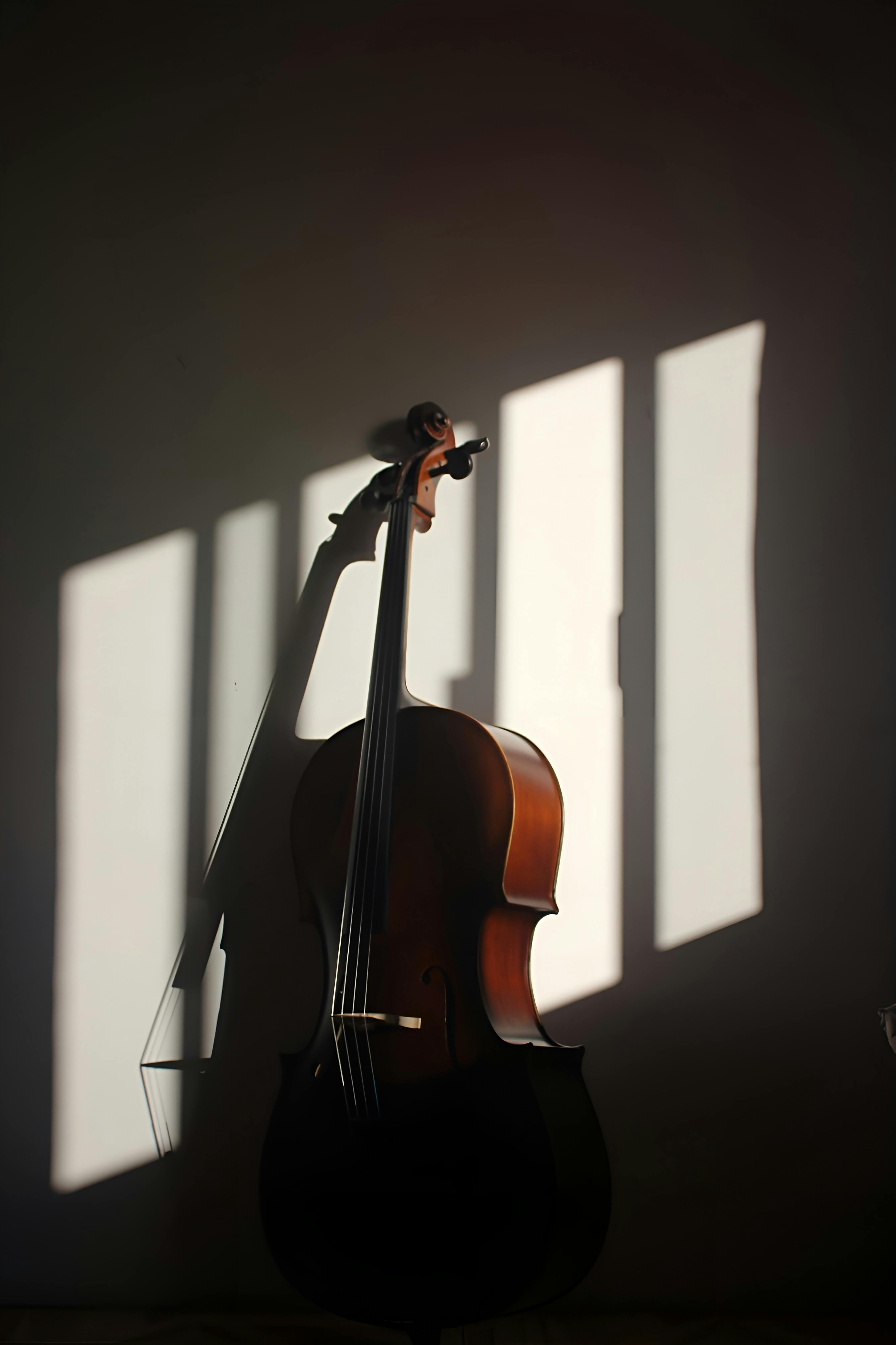 Elegant Cello in Dramatic Shadow Lighting · Free Stock Photo