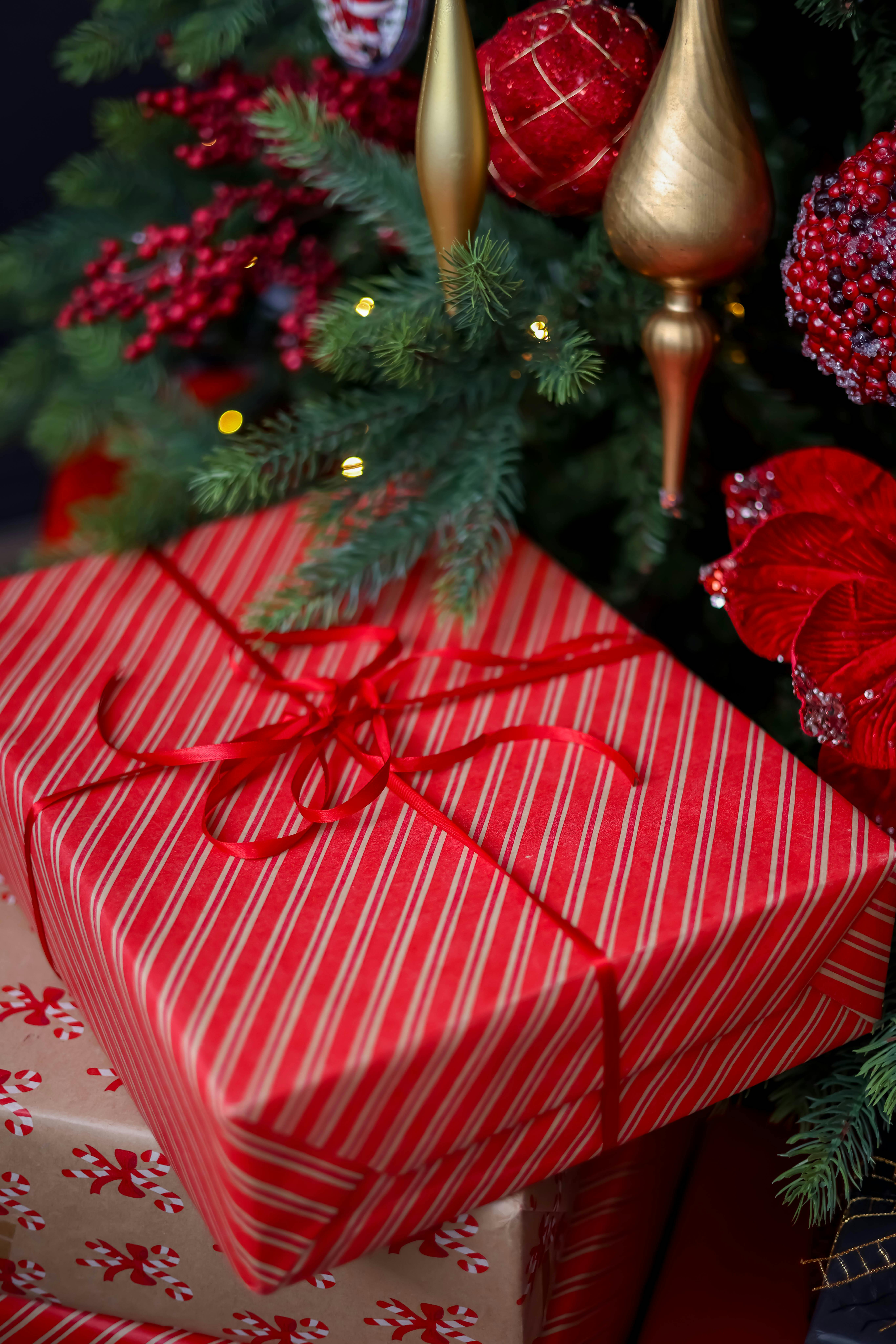 Code Fest Photos, Download The BEST Free Code Fest Stock Photos & HD Images