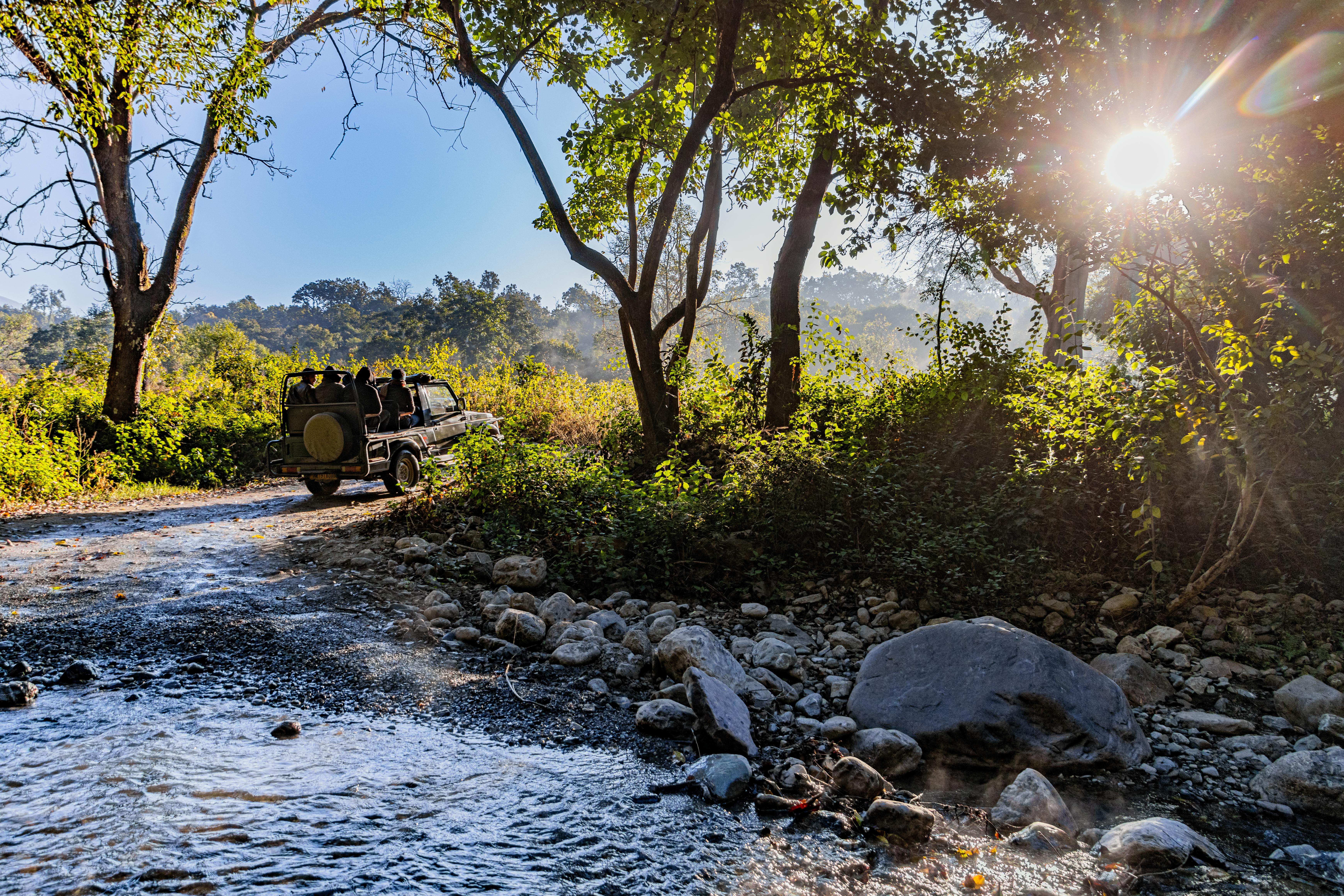 Sentier Pittoresque De La Jungle De L'uttarakhand Avec Safari En Jeep ...