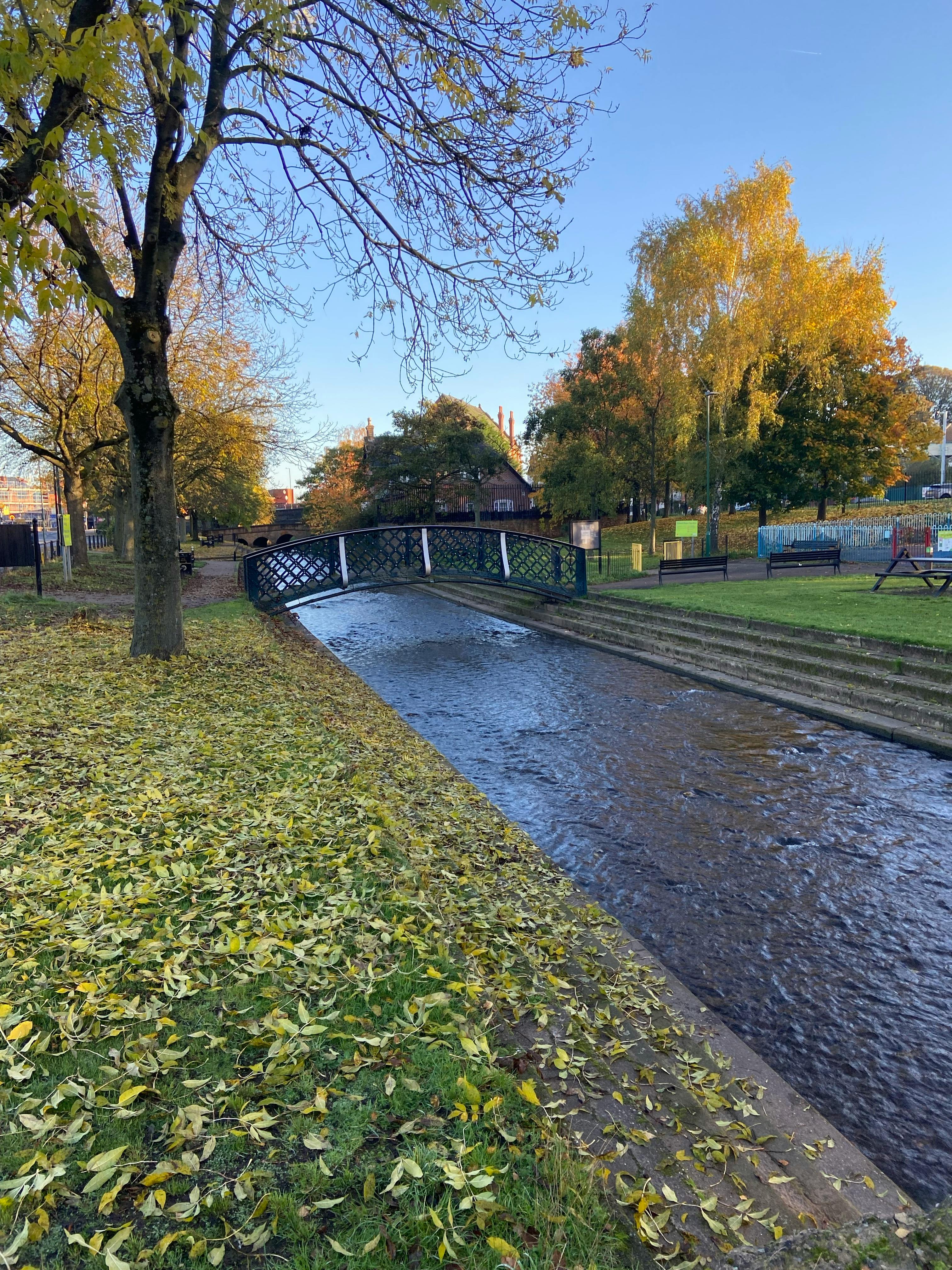 Park Bench Flowing Trees Photos, Download The BEST Free Park Bench ...