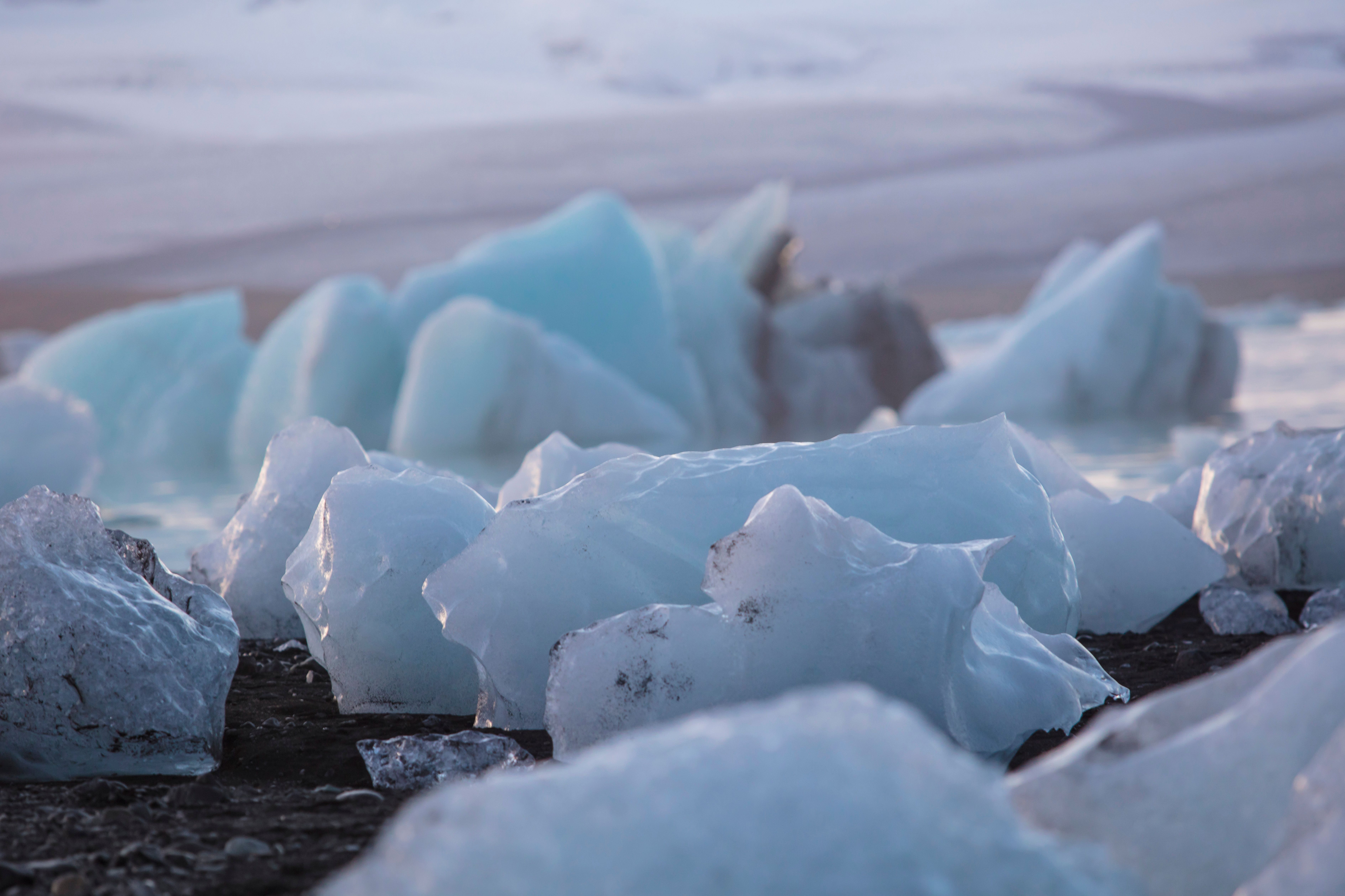 Stunning Glacier Ice Formations on Rocky Shore · Free Stock Photo