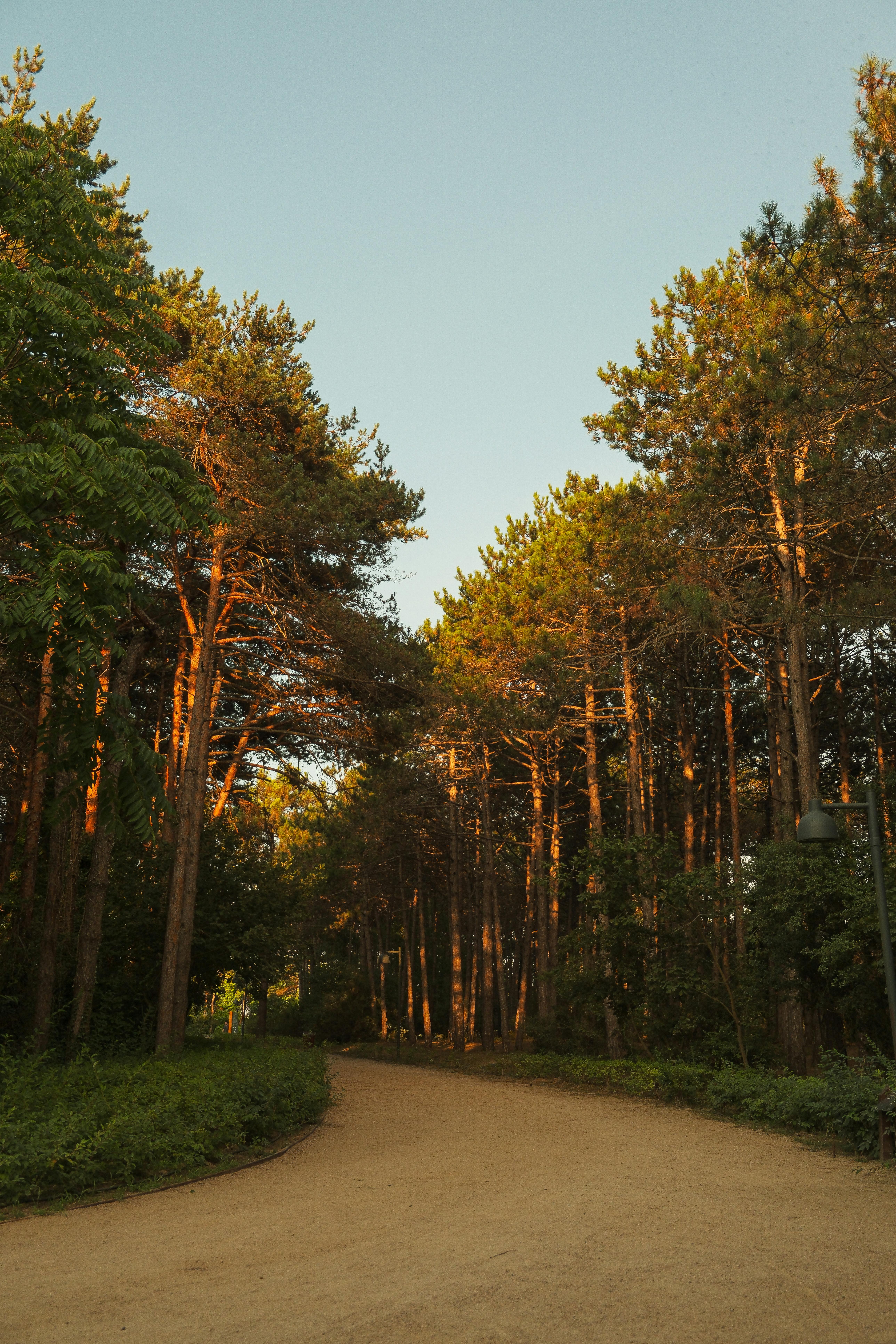 Nature Walk Photos, Download The BEST Free Nature Walk Stock Photos ...