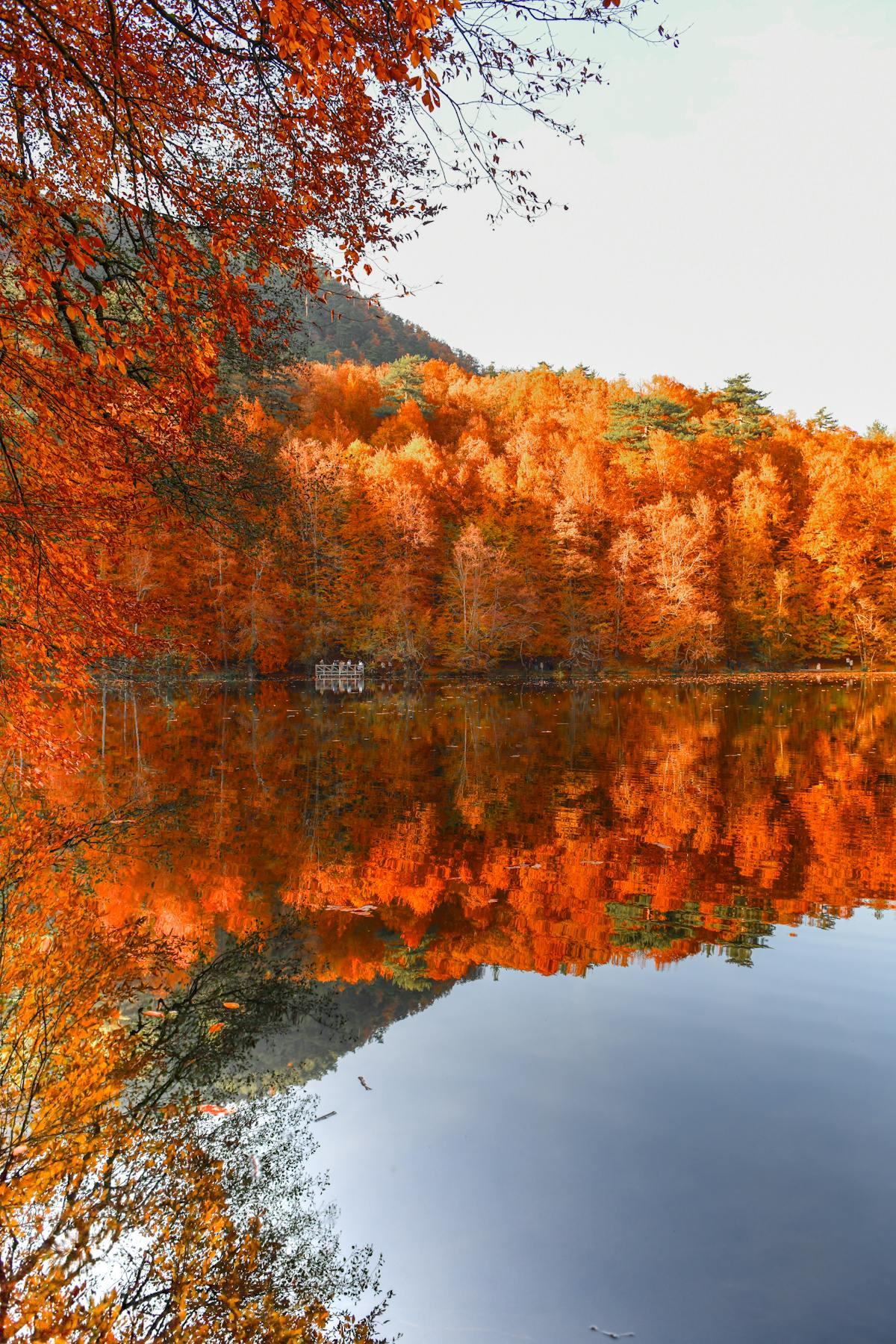Autumn Landscape Photos, Download The BEST Free Autumn Landscape Stock ...