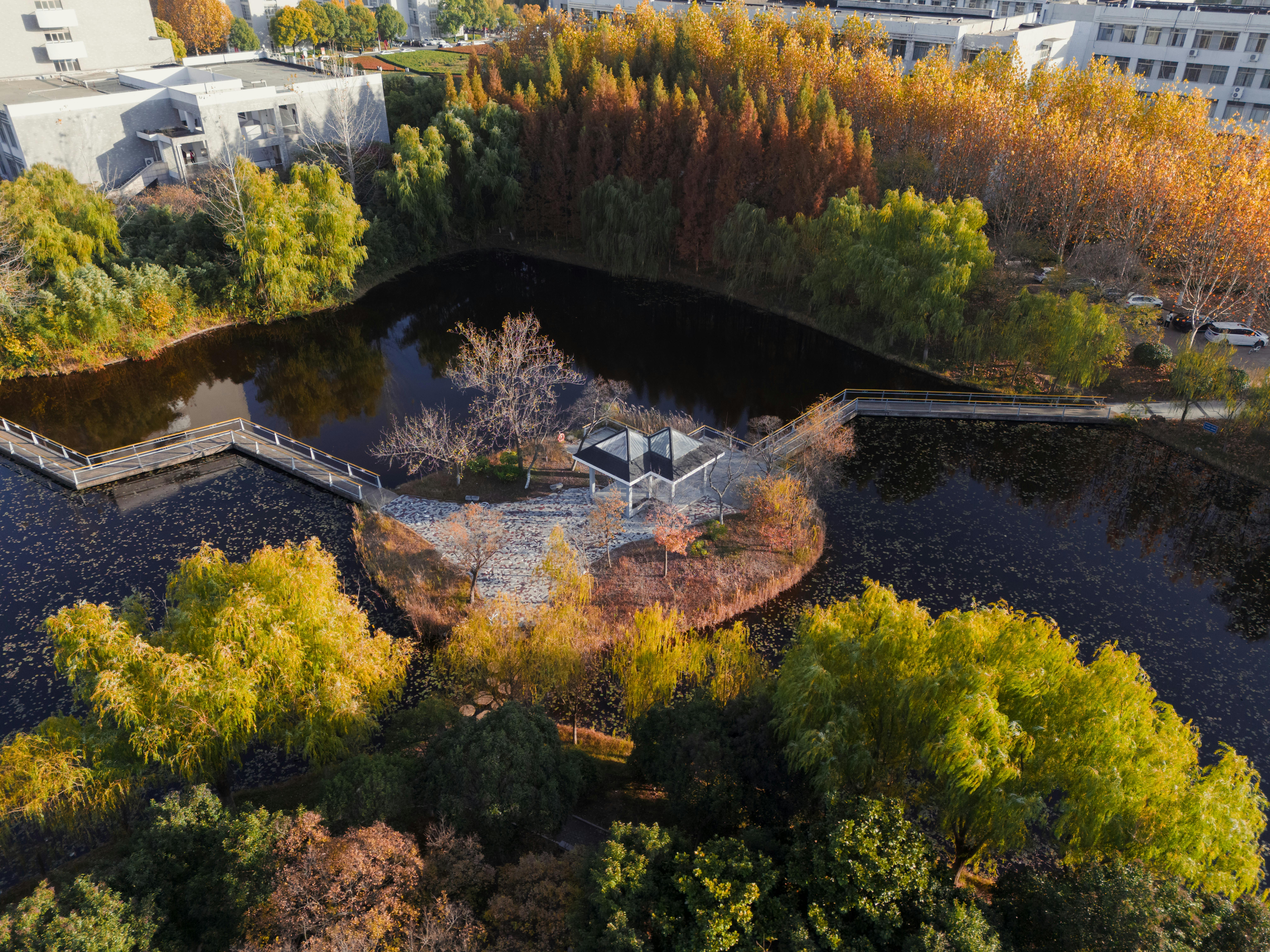 Aerial View of Tranquil Island in Nanjing Park · Free Stock Photo