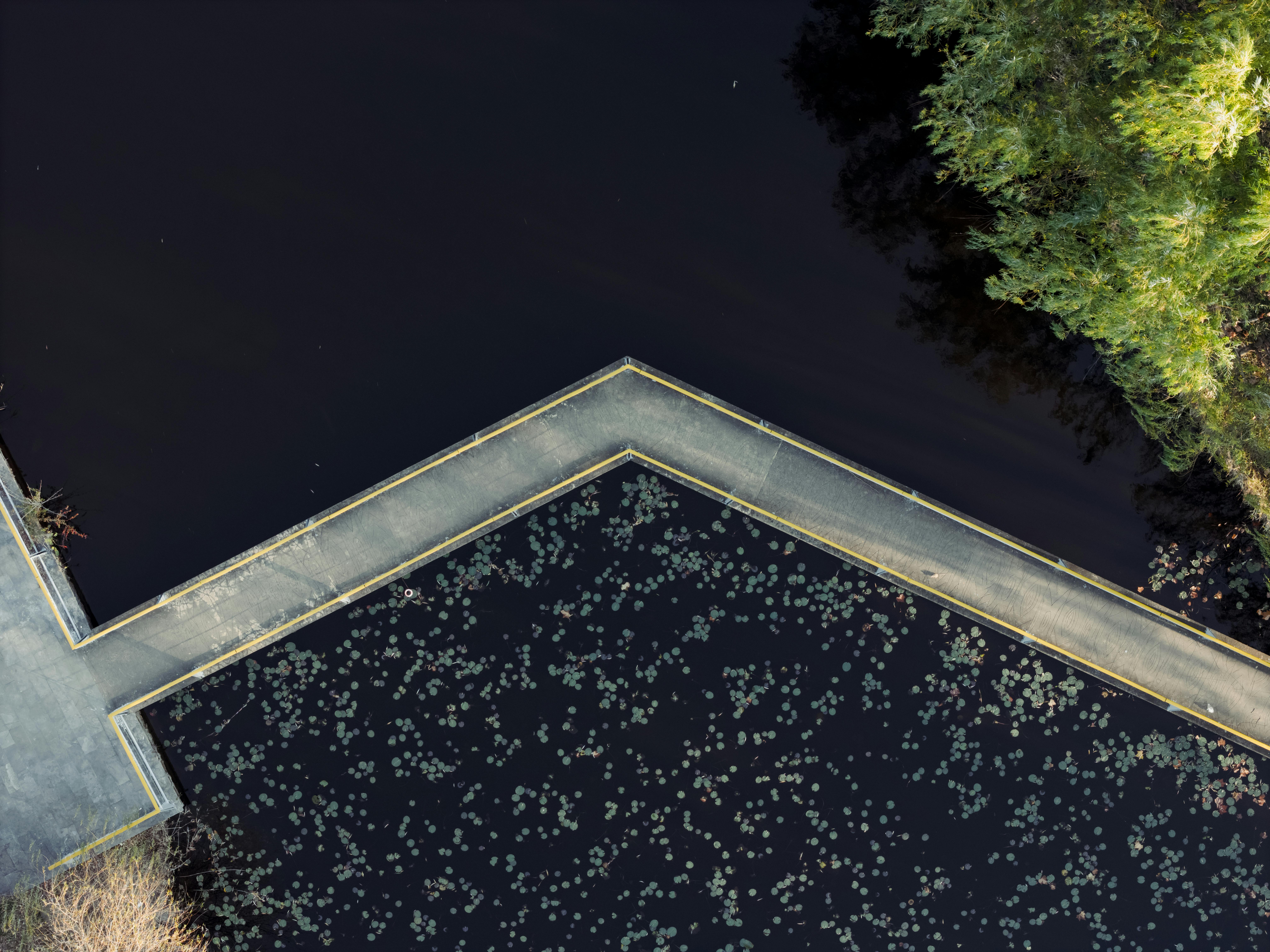 Lotus Aerial View Photos, Download The BEST Free Lotus Aerial View ...