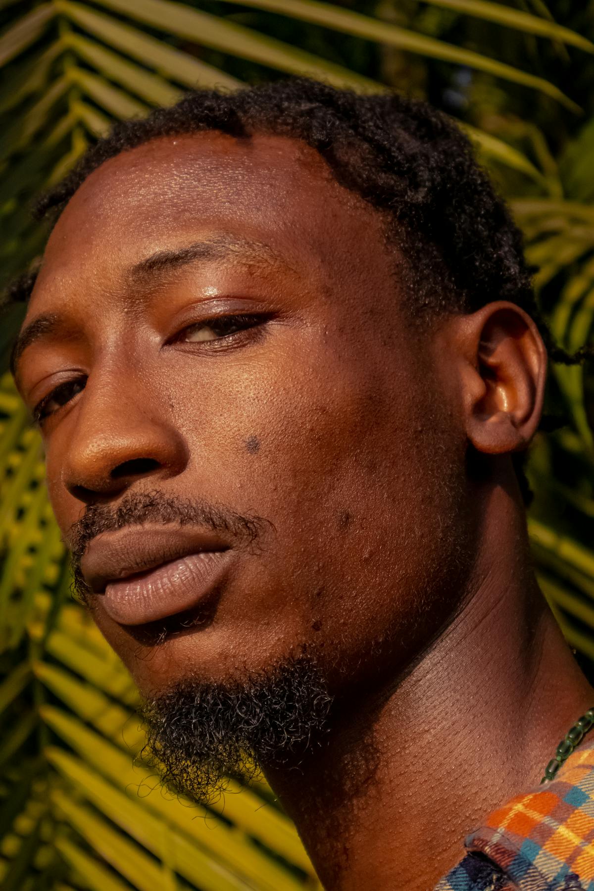 Portrait Background Photos, Download The BEST Free Portrait Background ...