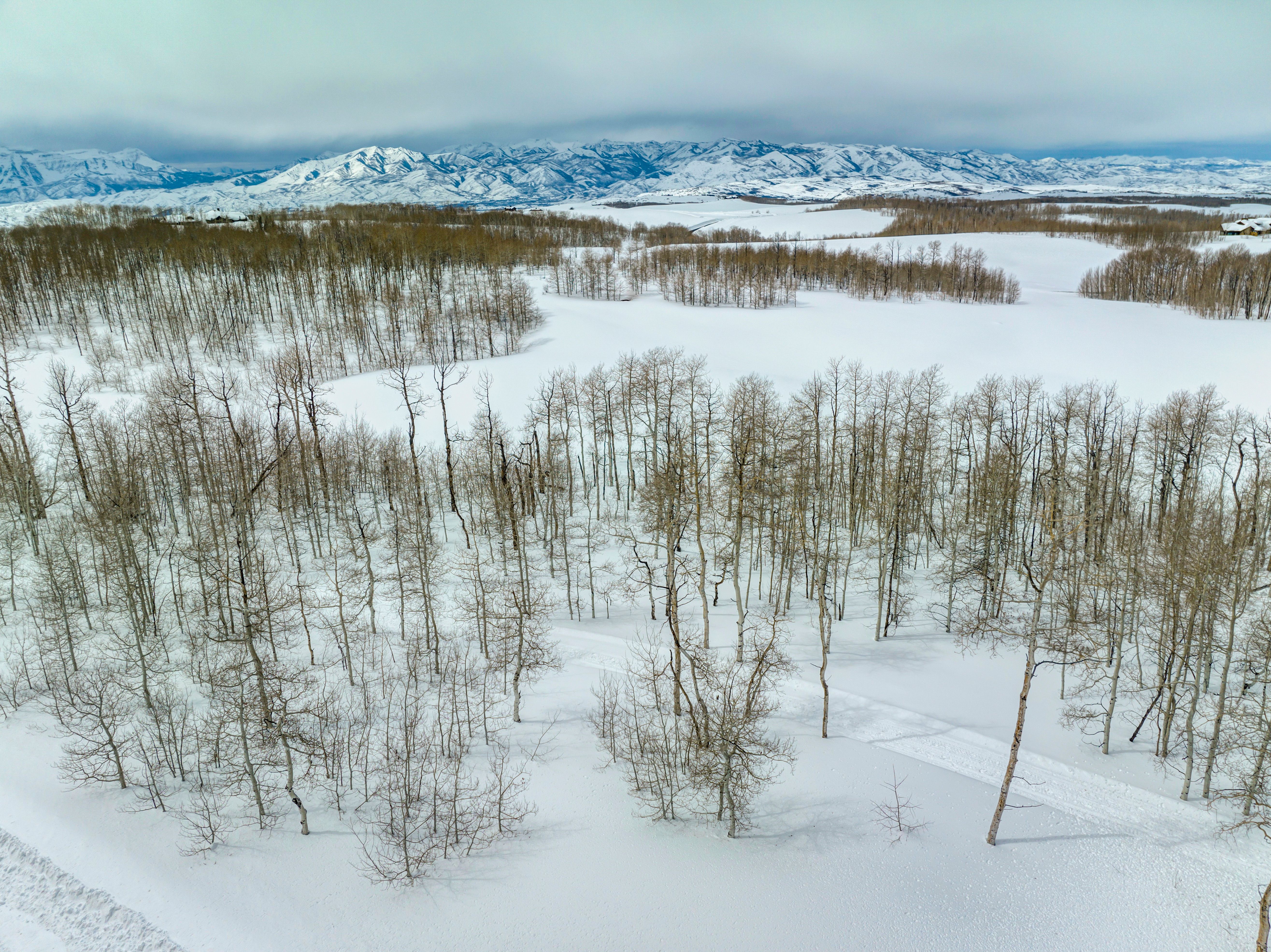 Snowy Mountain Landscape in Utah Winter · Free Stock Photo