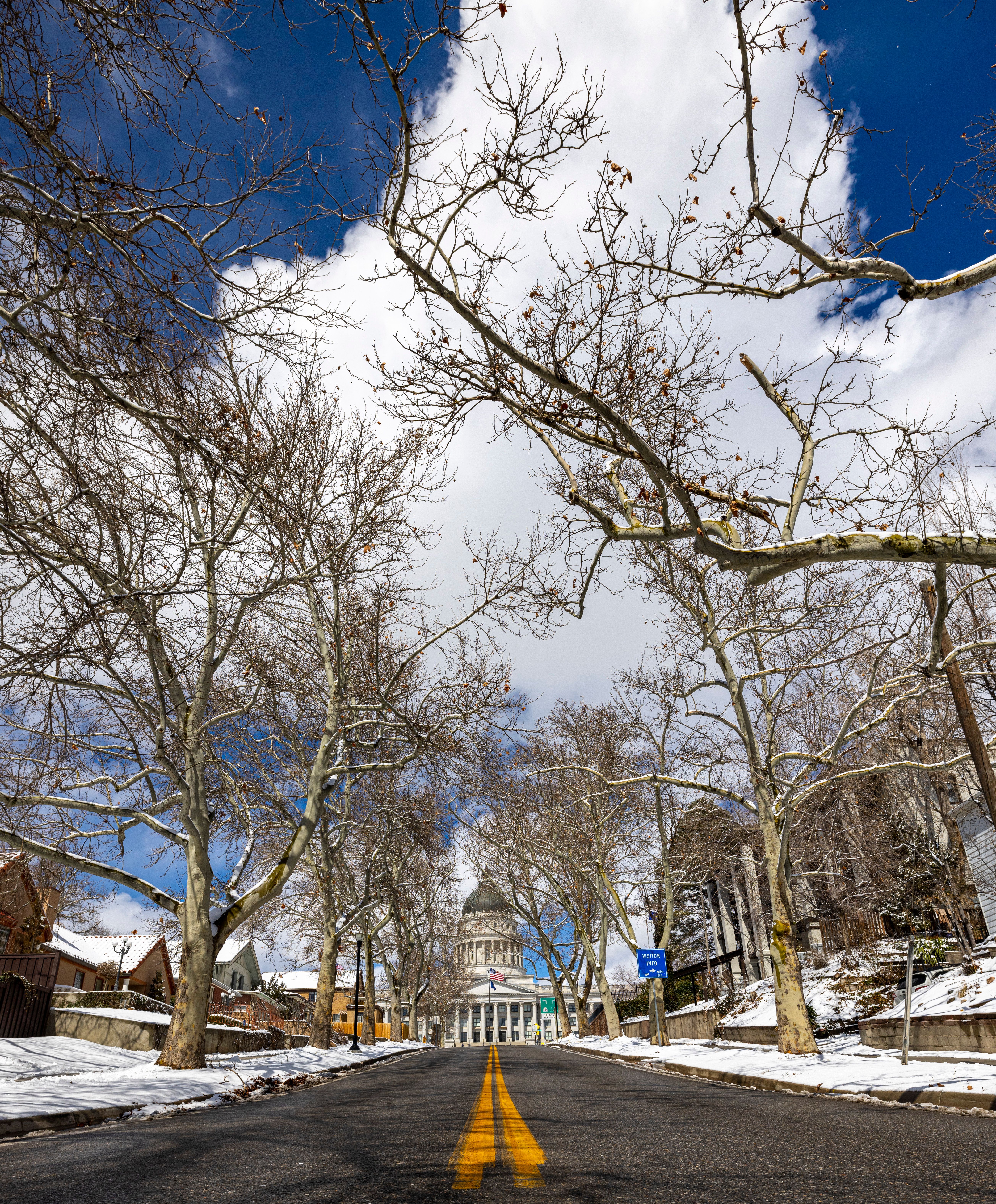 Snowy Street Leading to Capitol Building · Free Stock Photo