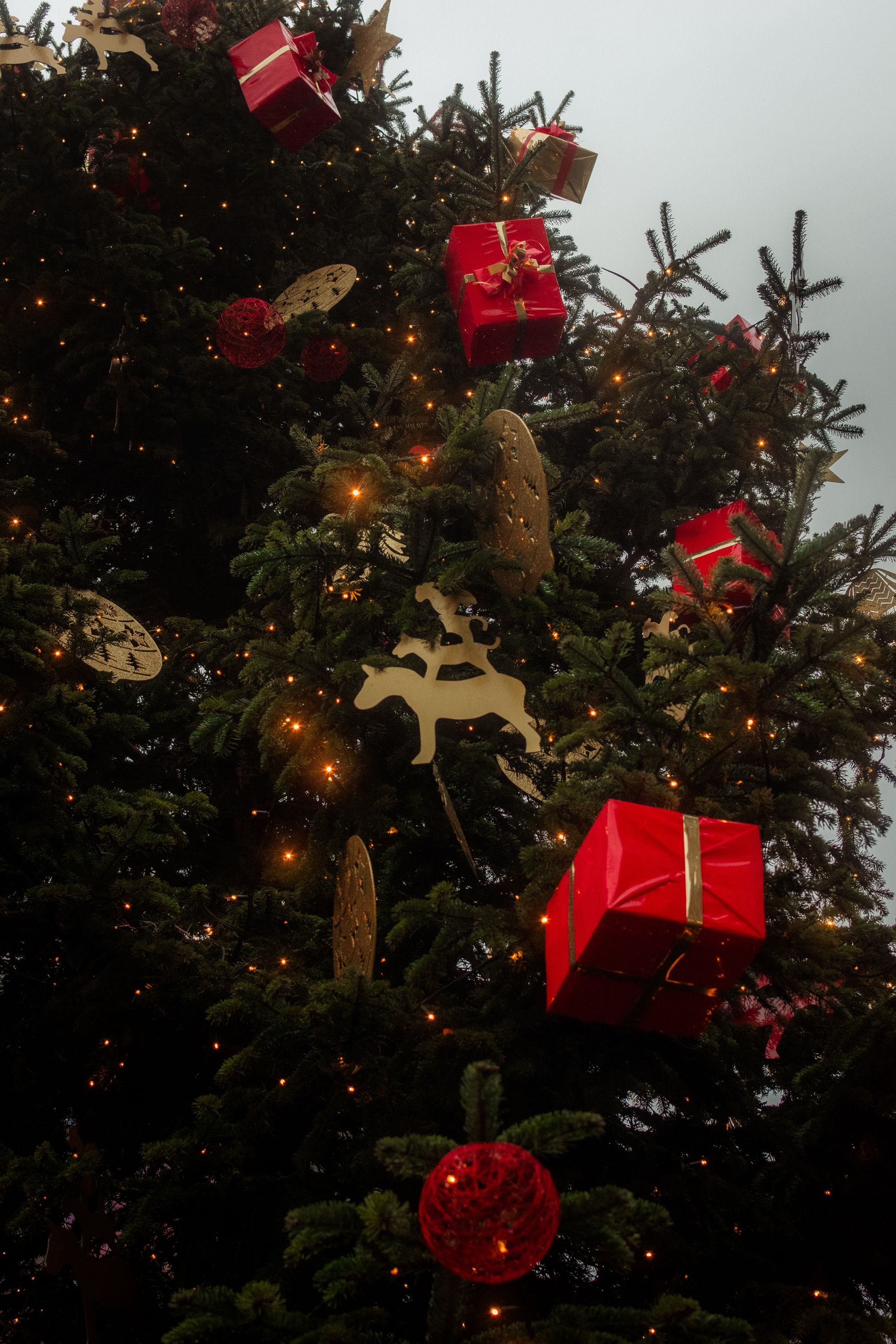 Festive Christmas Tree with Red Gift Decorations · Free Stock Photo