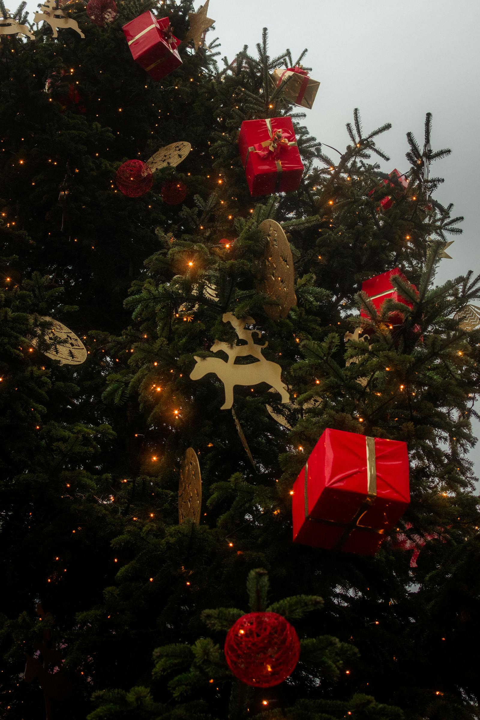 Red Christmas Tree Wallpaper Photos, Download The BEST Free Red ...