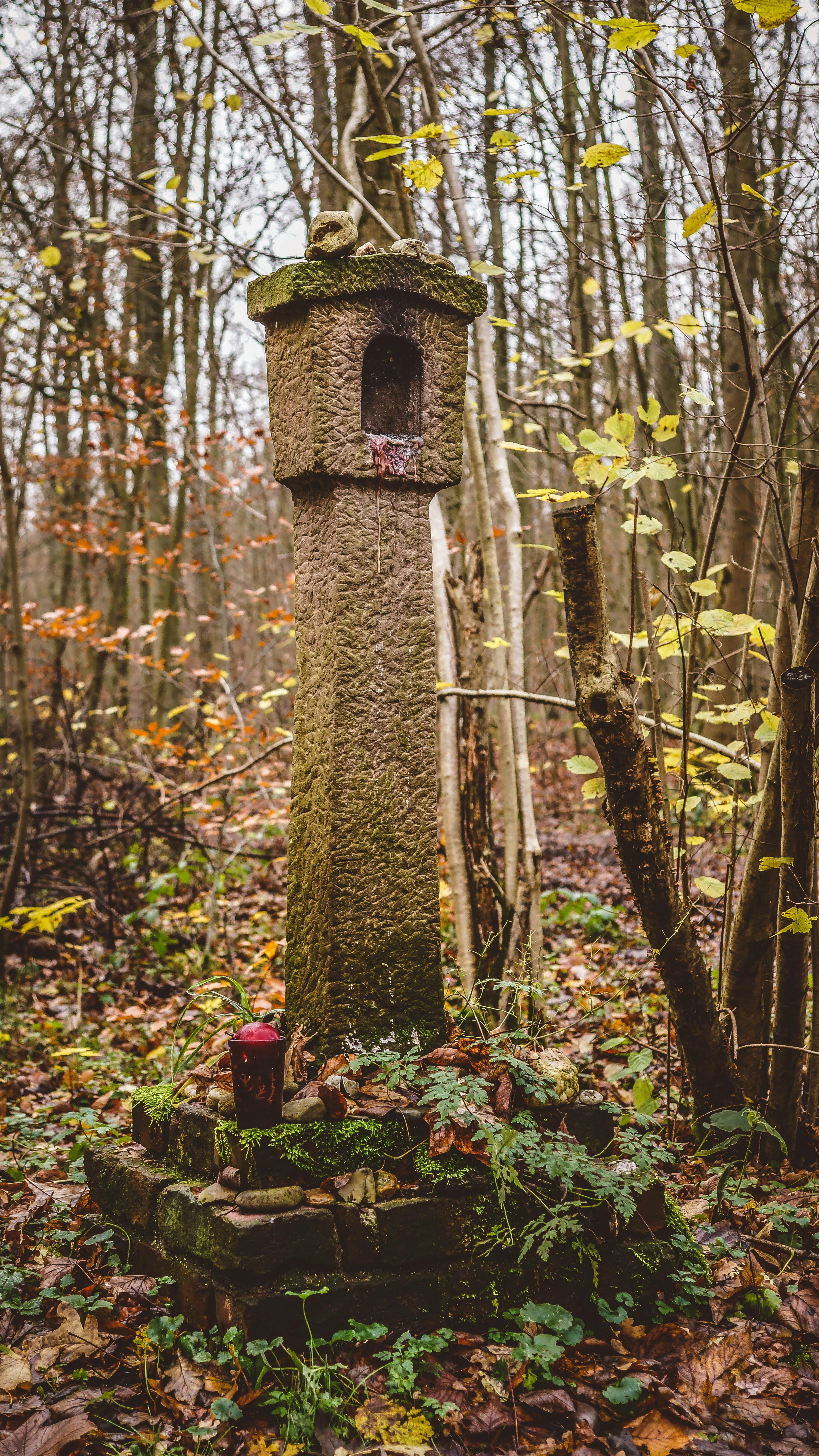 Ancient Stone Monument in Autumn Forest · Free Stock Photo