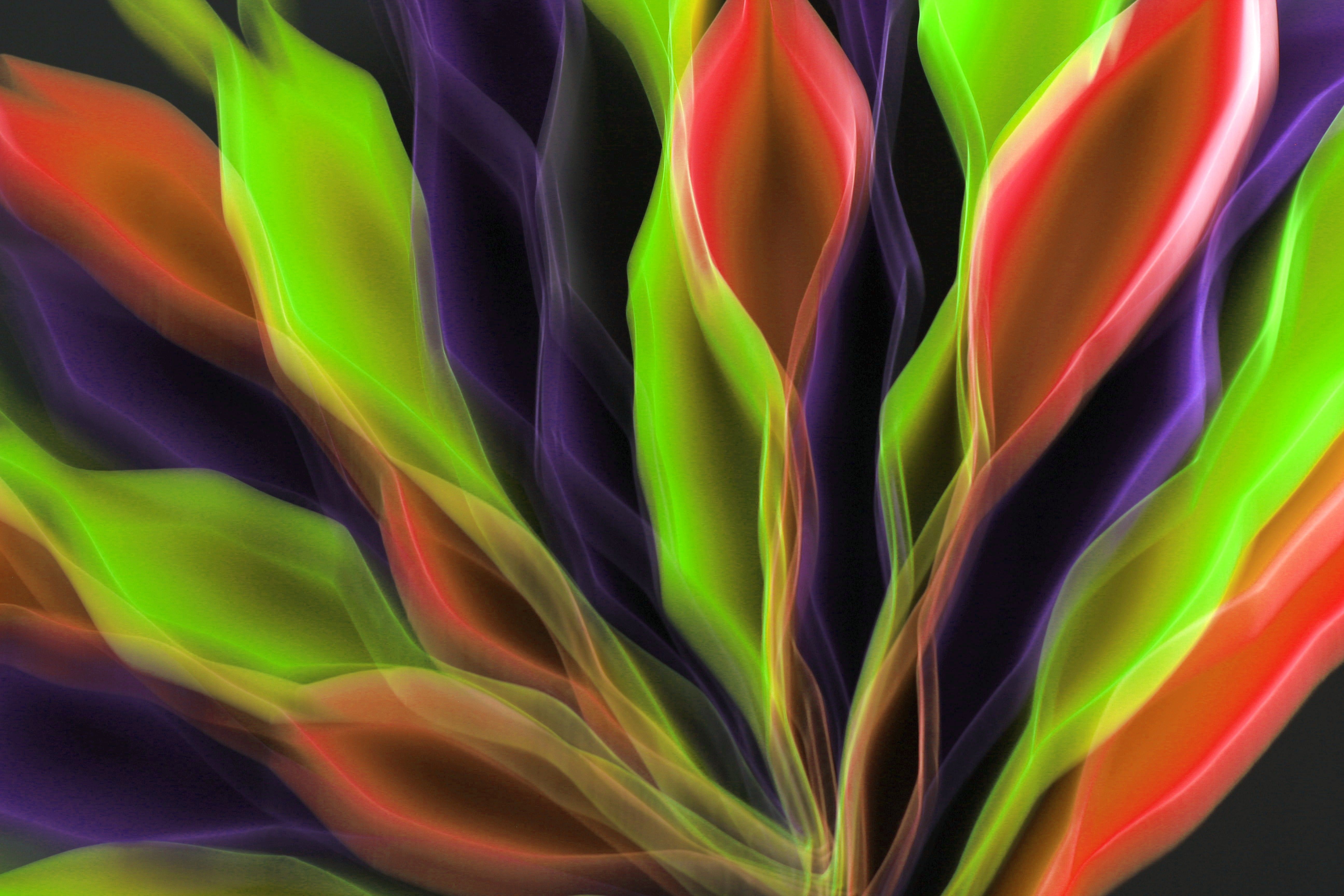 Vibrant Abstract Light Trails Art from Guaratuba · Free Stock Photo