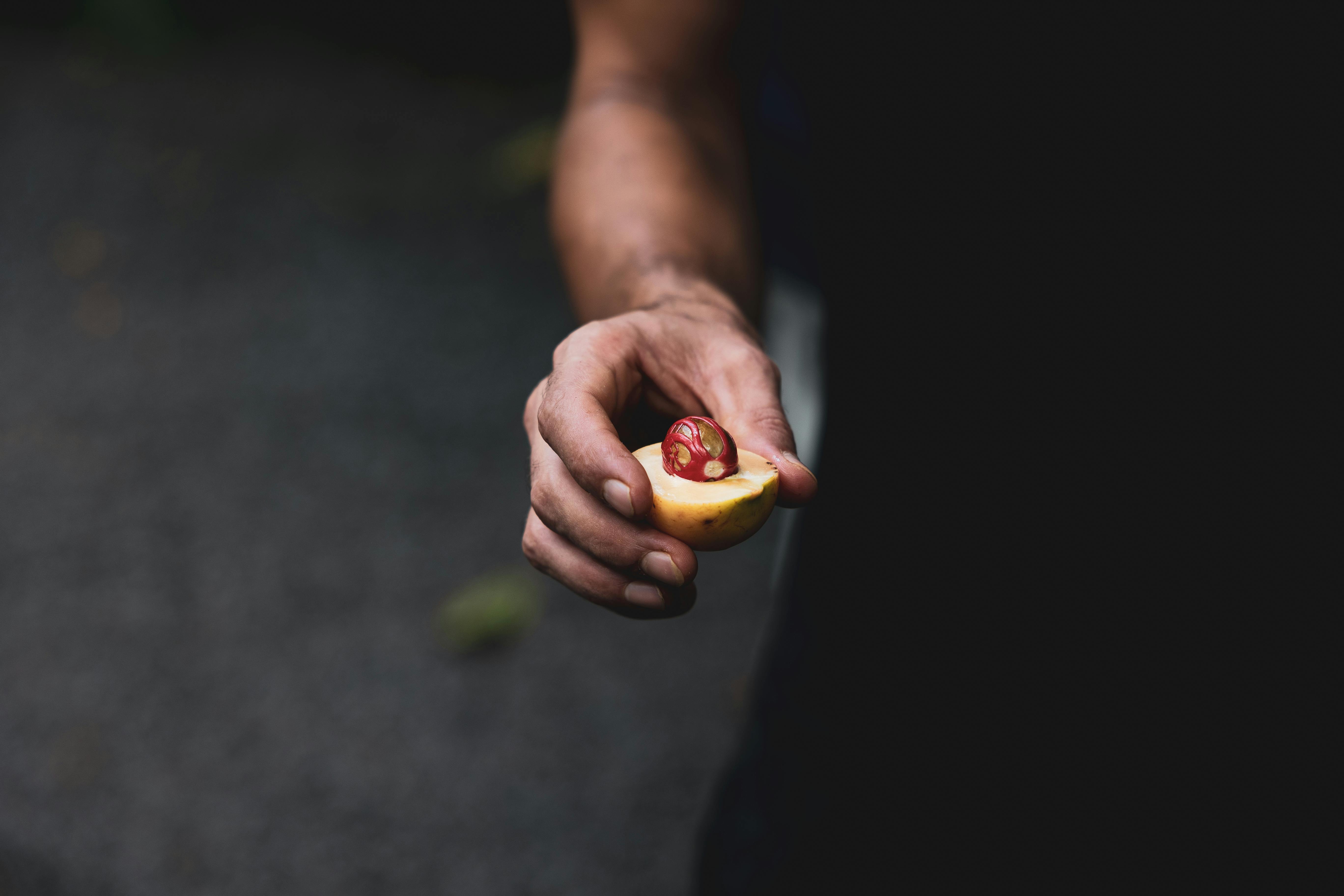 Hand Holding Picures Photos, Download The BEST Free Hand Holding ...