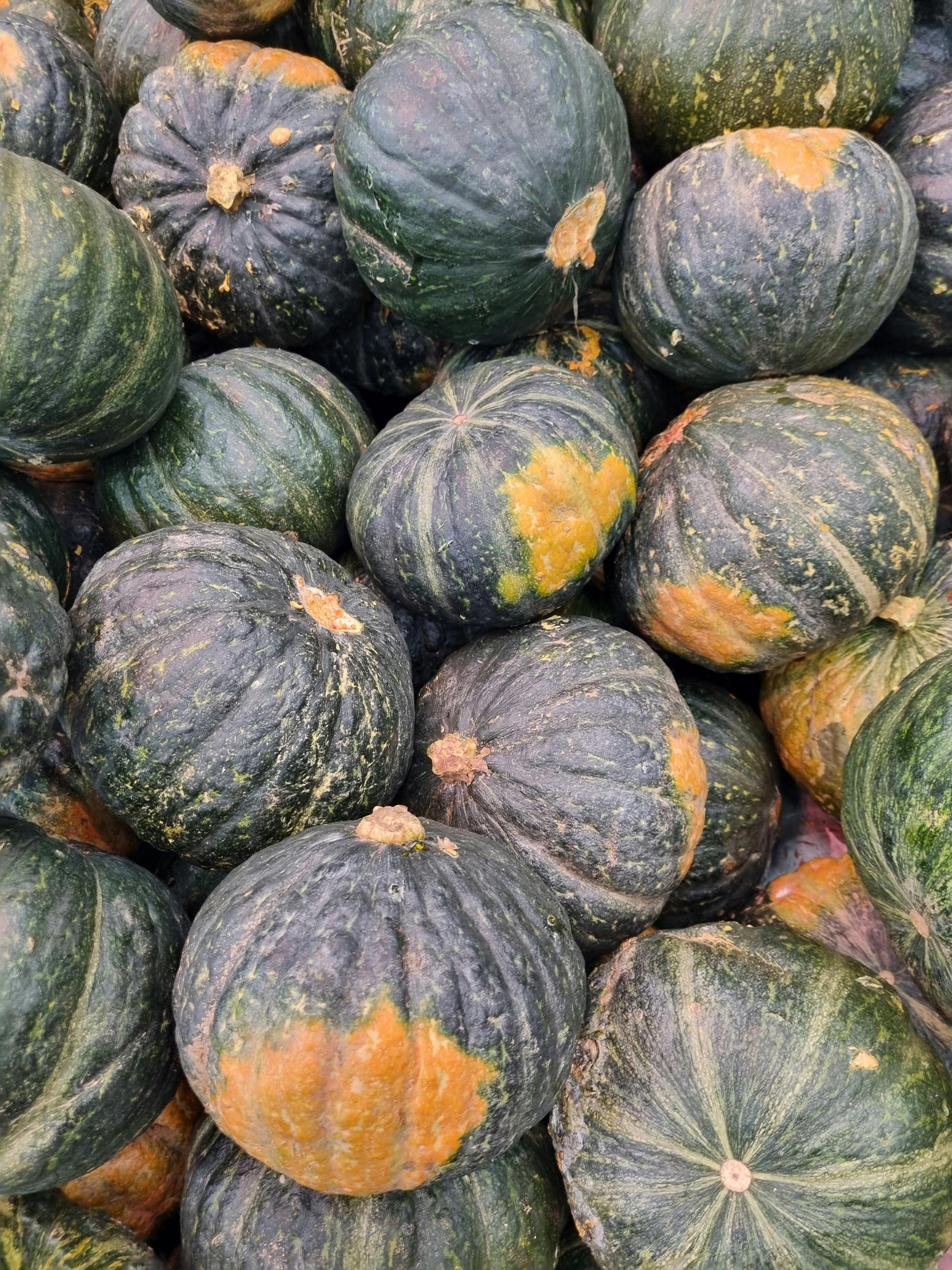 Pile of Fresh Green Kabocha Squash at Market · Free Stock Photo