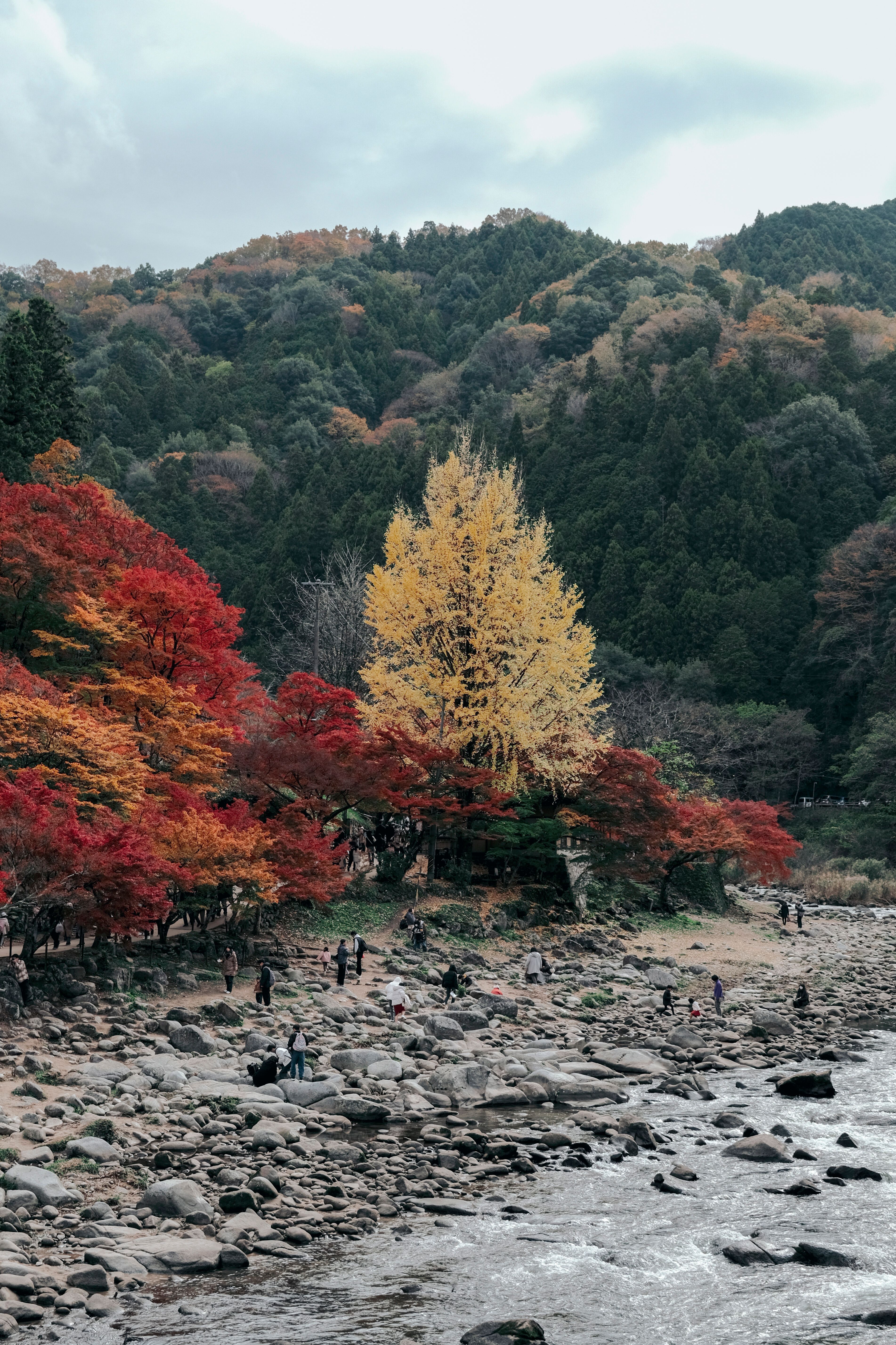 Picturesque Autumn Landscape in Japanese Countryside · Free Stock Photo