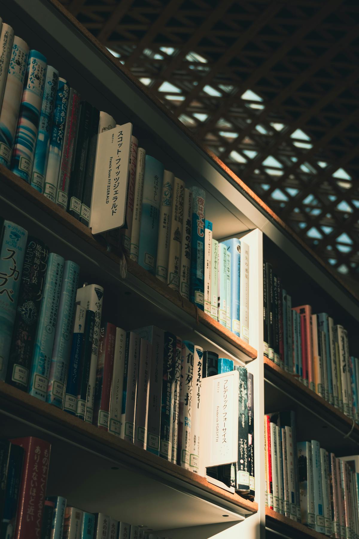 Library Books Photos, Download The BEST Free Library Books Stock Photos ...