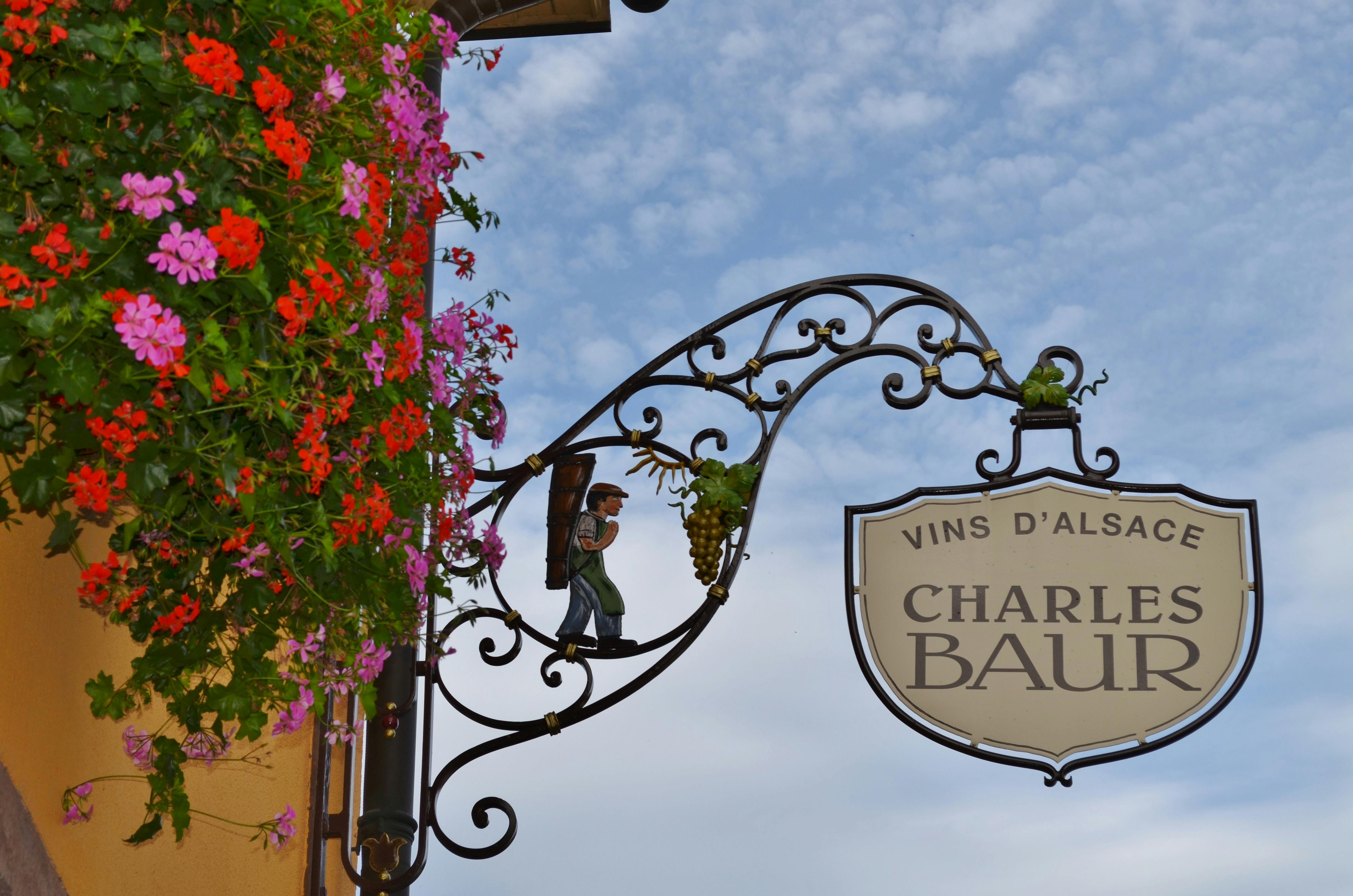 Baure Photos, Download The BEST Free Baure Stock Photos & HD Images