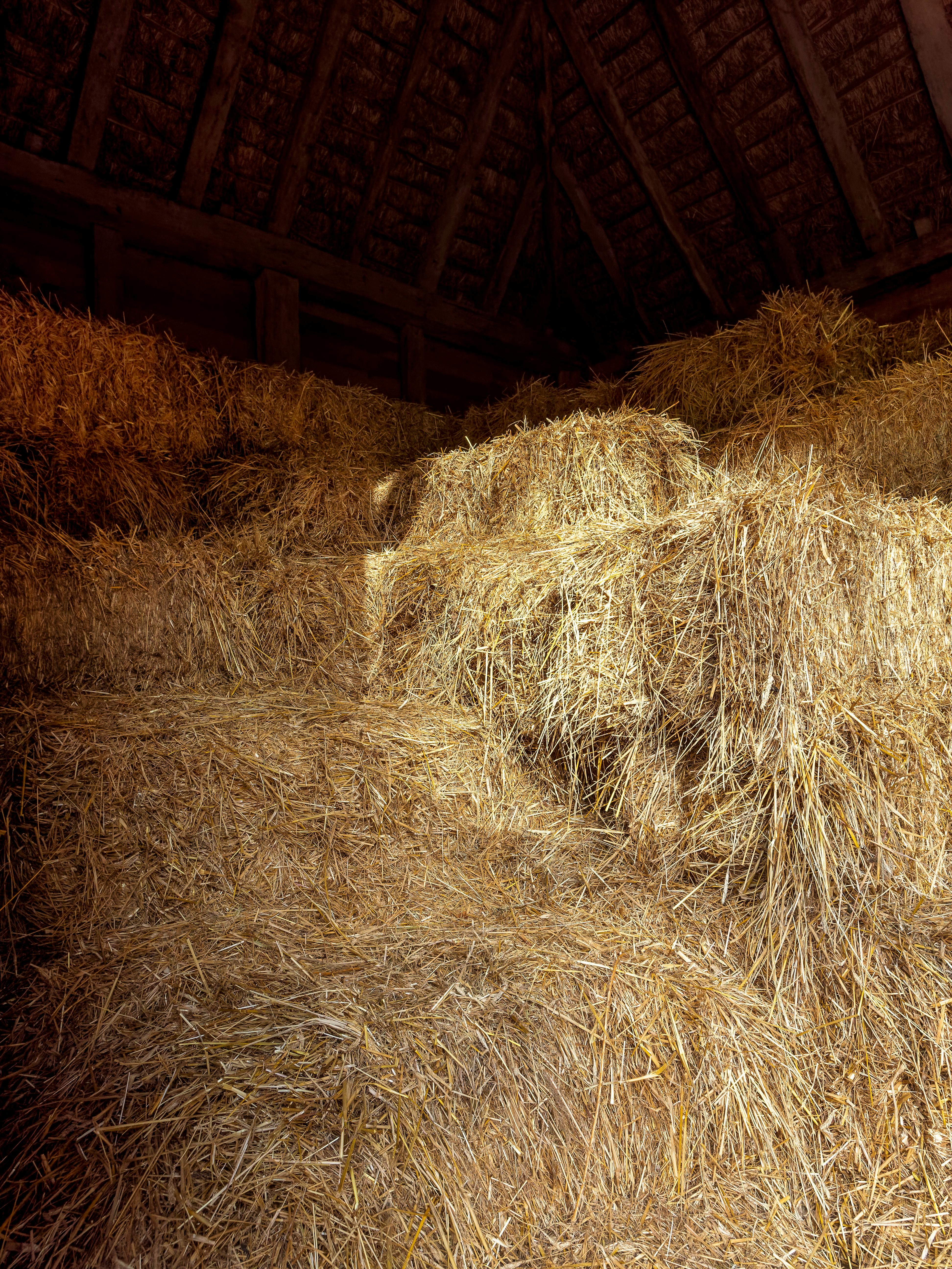 Stacked Hay Bales in a Rustic Barn Interior · Free Stock Photo