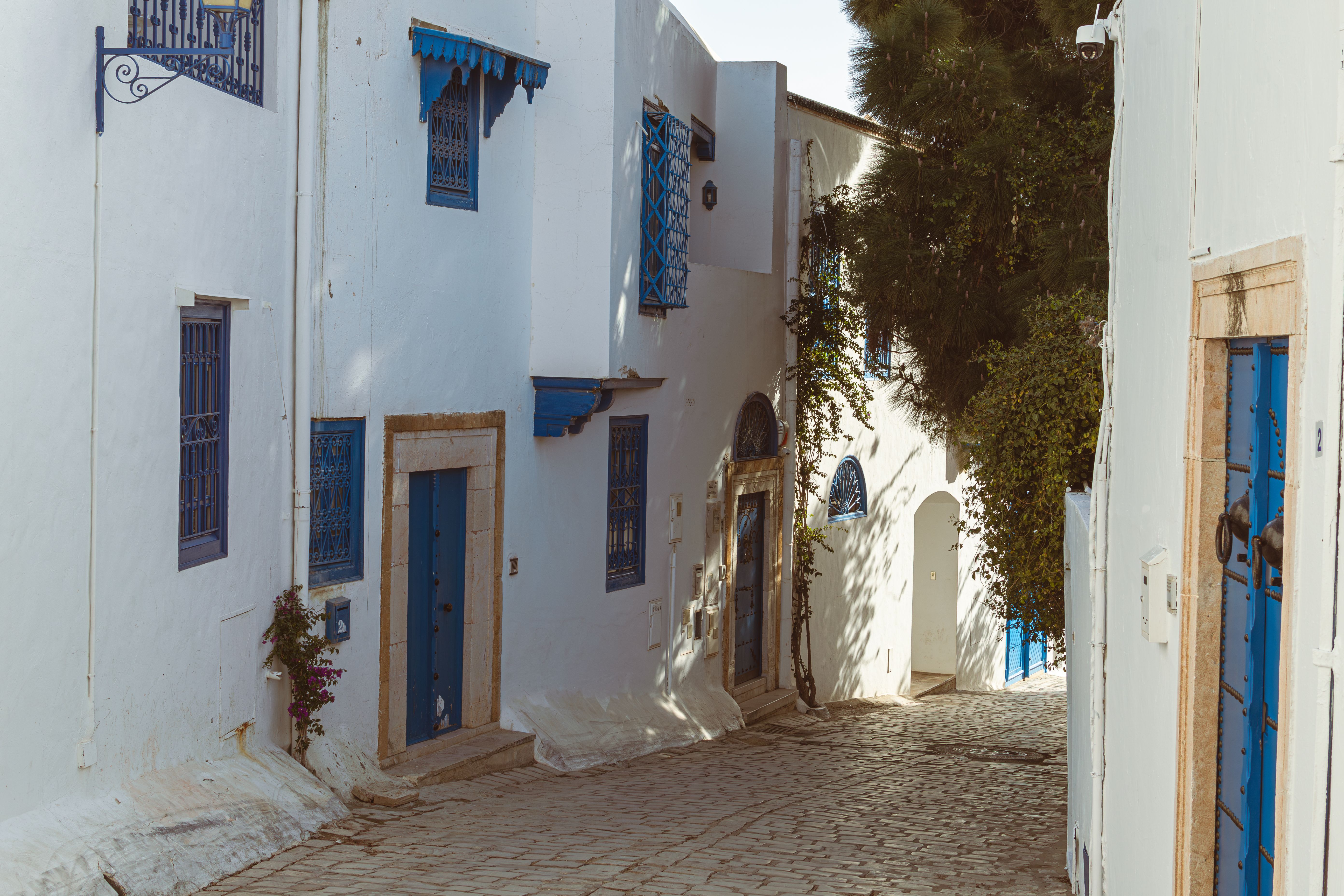 Charming Blue and White Street in Carthage, Tunisia · Free Stock Photo