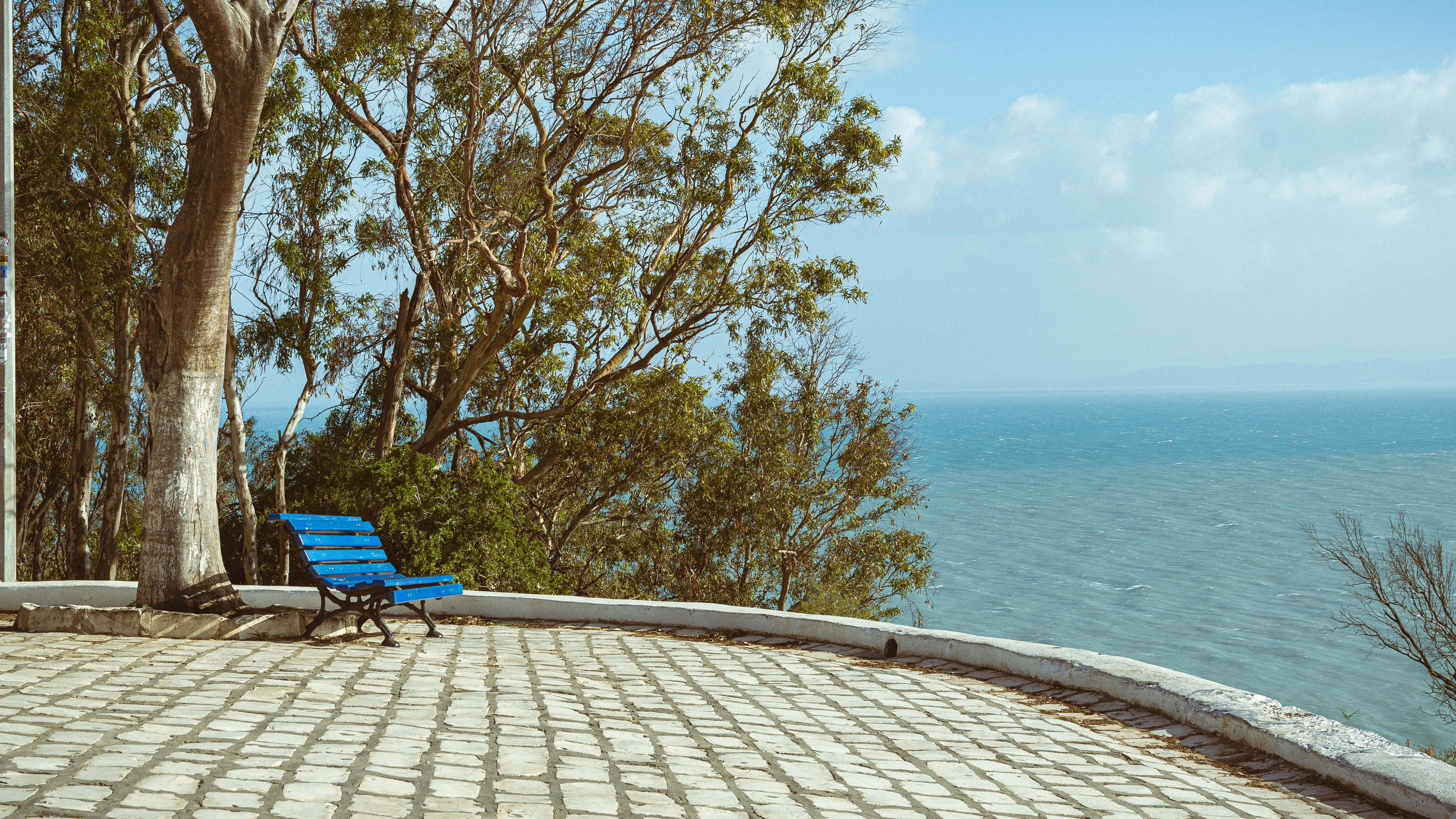 Semak Haven Photos, Download The BEST Free Semak Haven Stock Photos ...