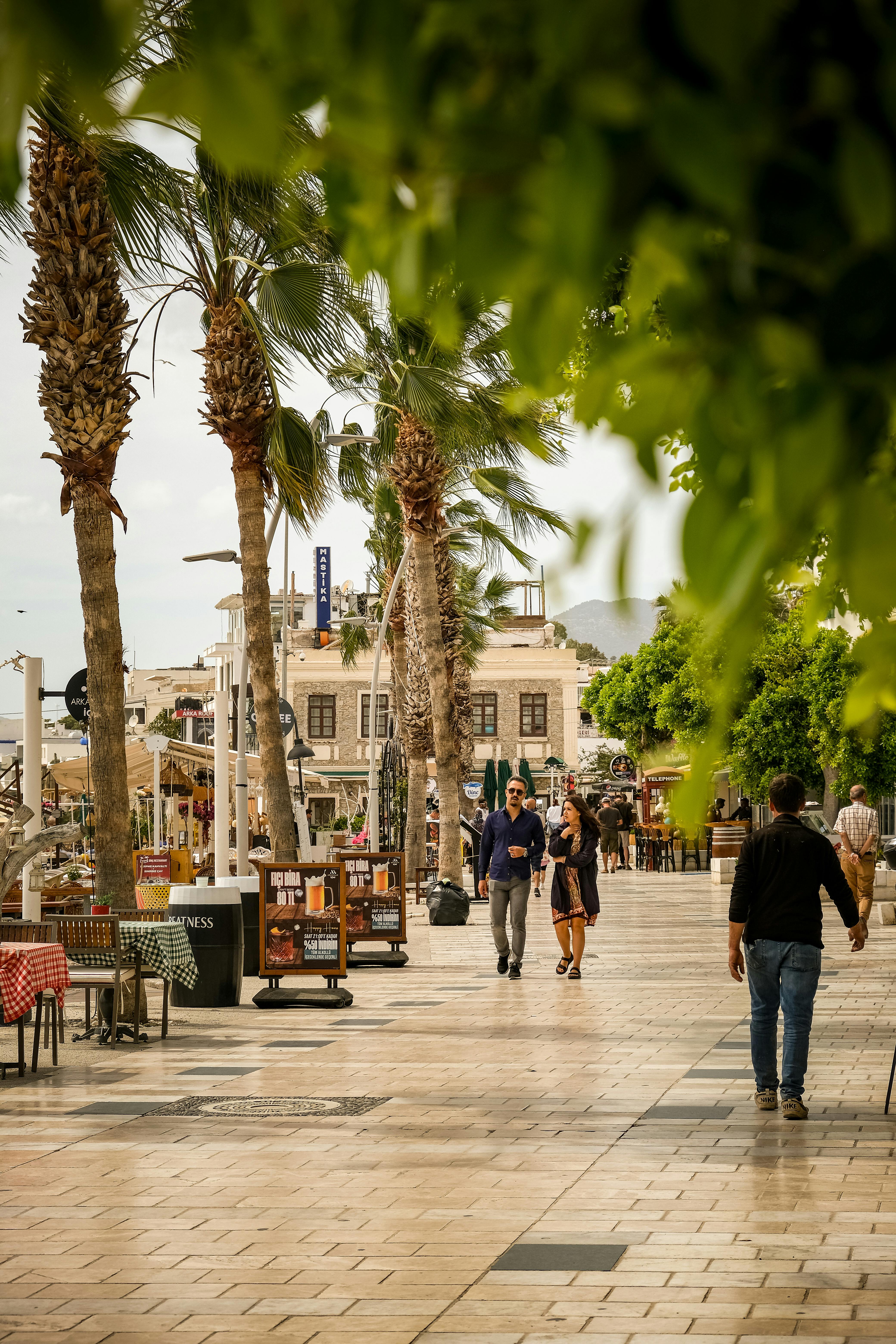 Sunny Street Scene with Palm Trees and Pedestrians · Free Stock Photo