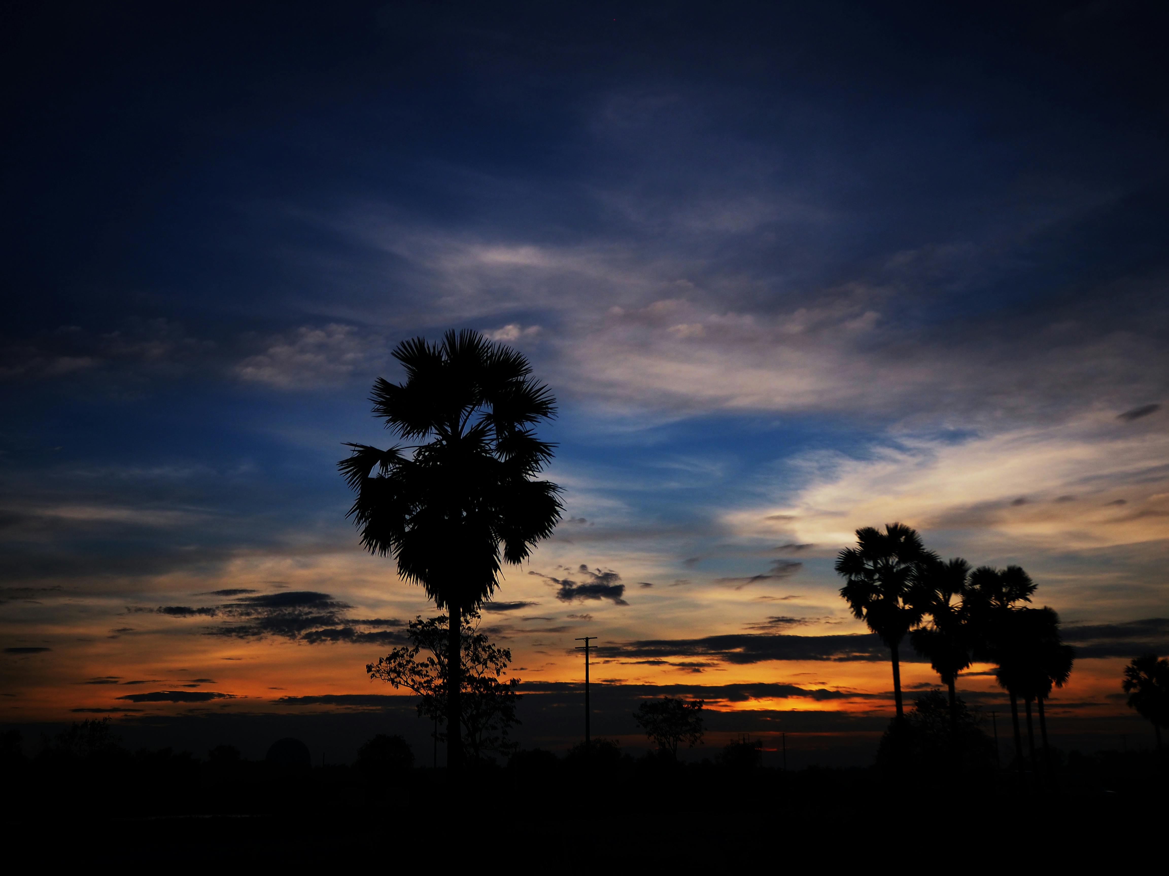 Free stock photo from asman · Pexels