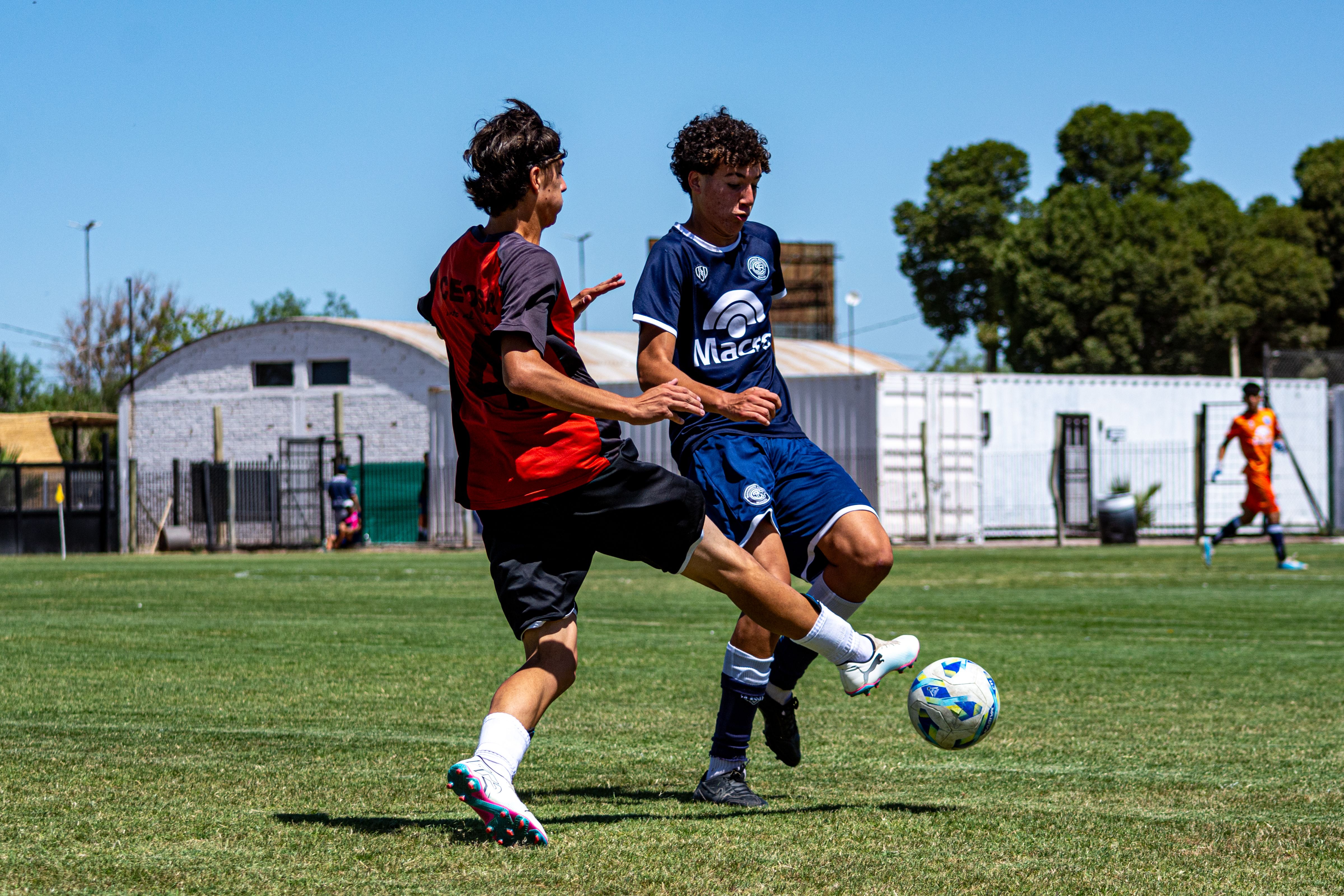 Intense Soccer Match in Action Outdoors · Free Stock Photo