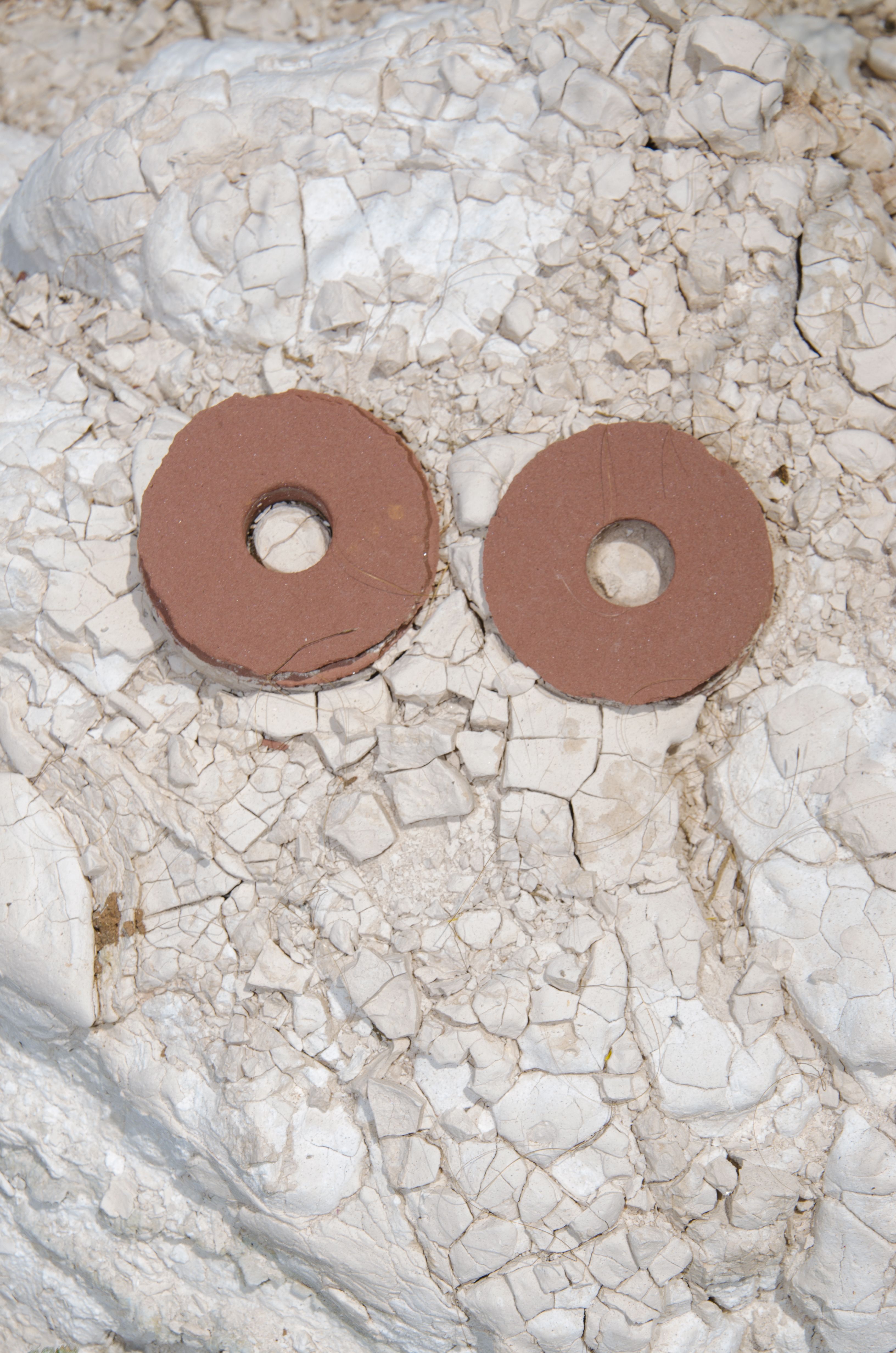 Cracked Textured Surface with Round Objects · Free Stock Photo