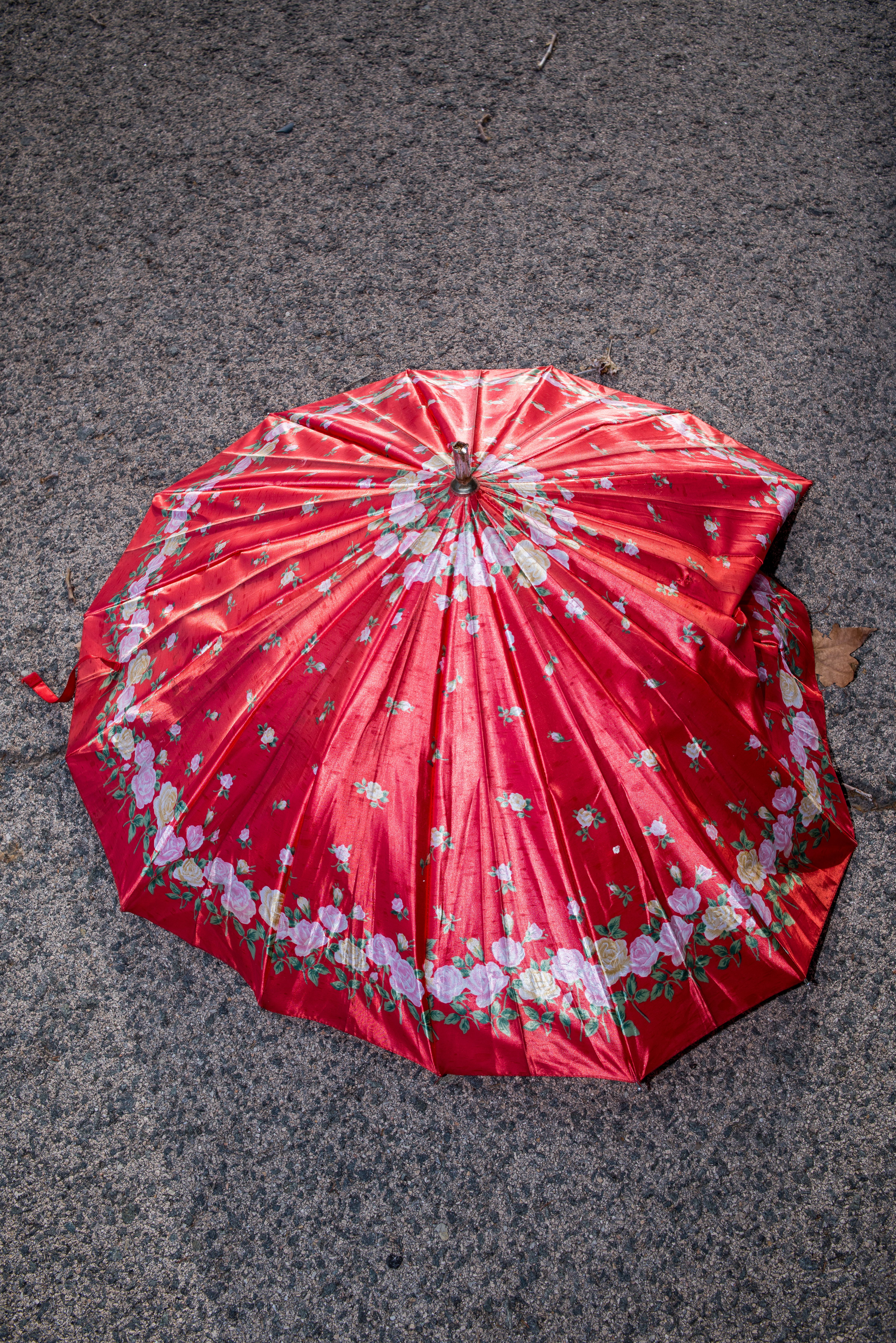 Top view of a colorful floral umbrella on pavement · Free Stock Photo