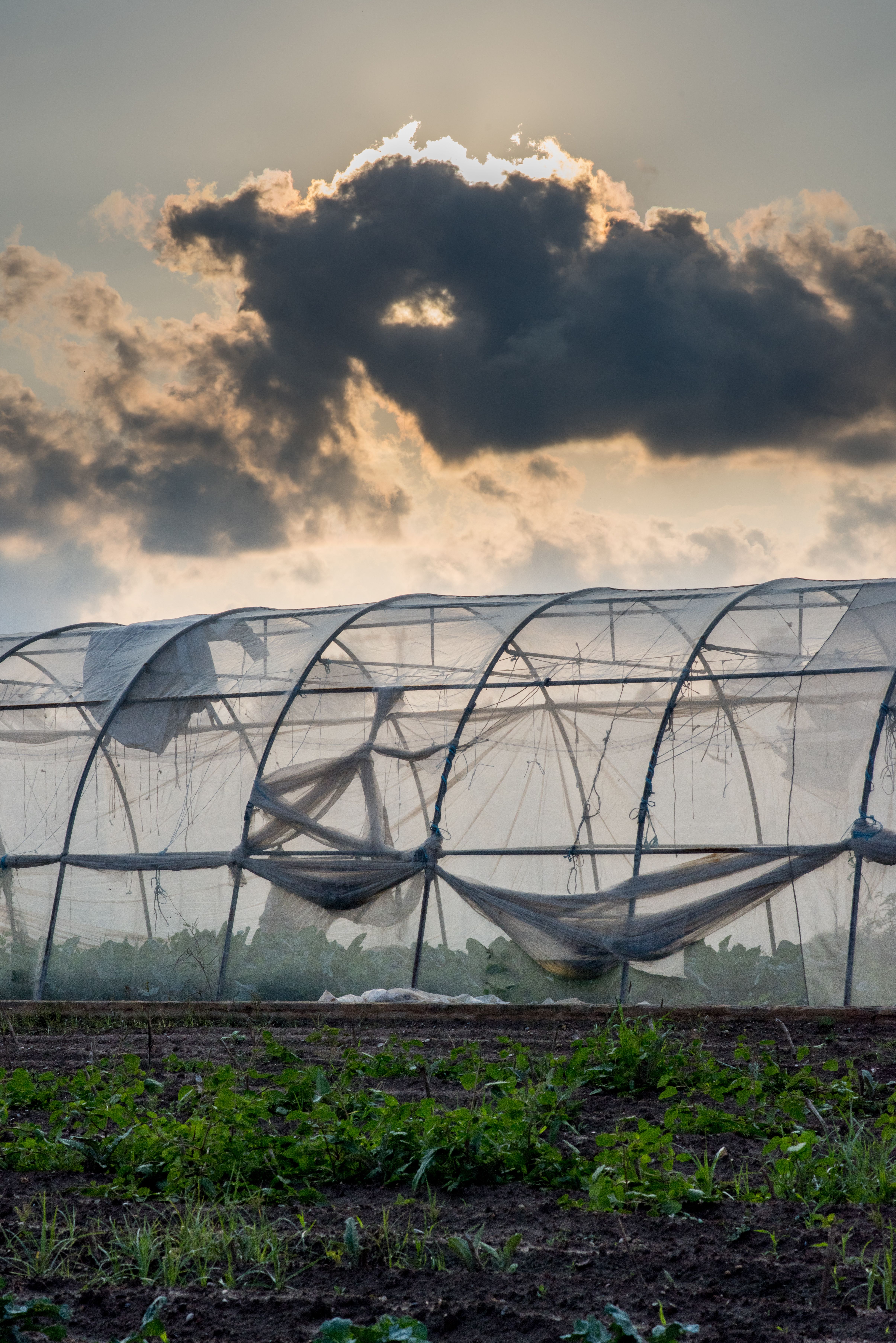 Serene Greenhouse at Sunset with Dramatic Clouds · Free Stock Photo