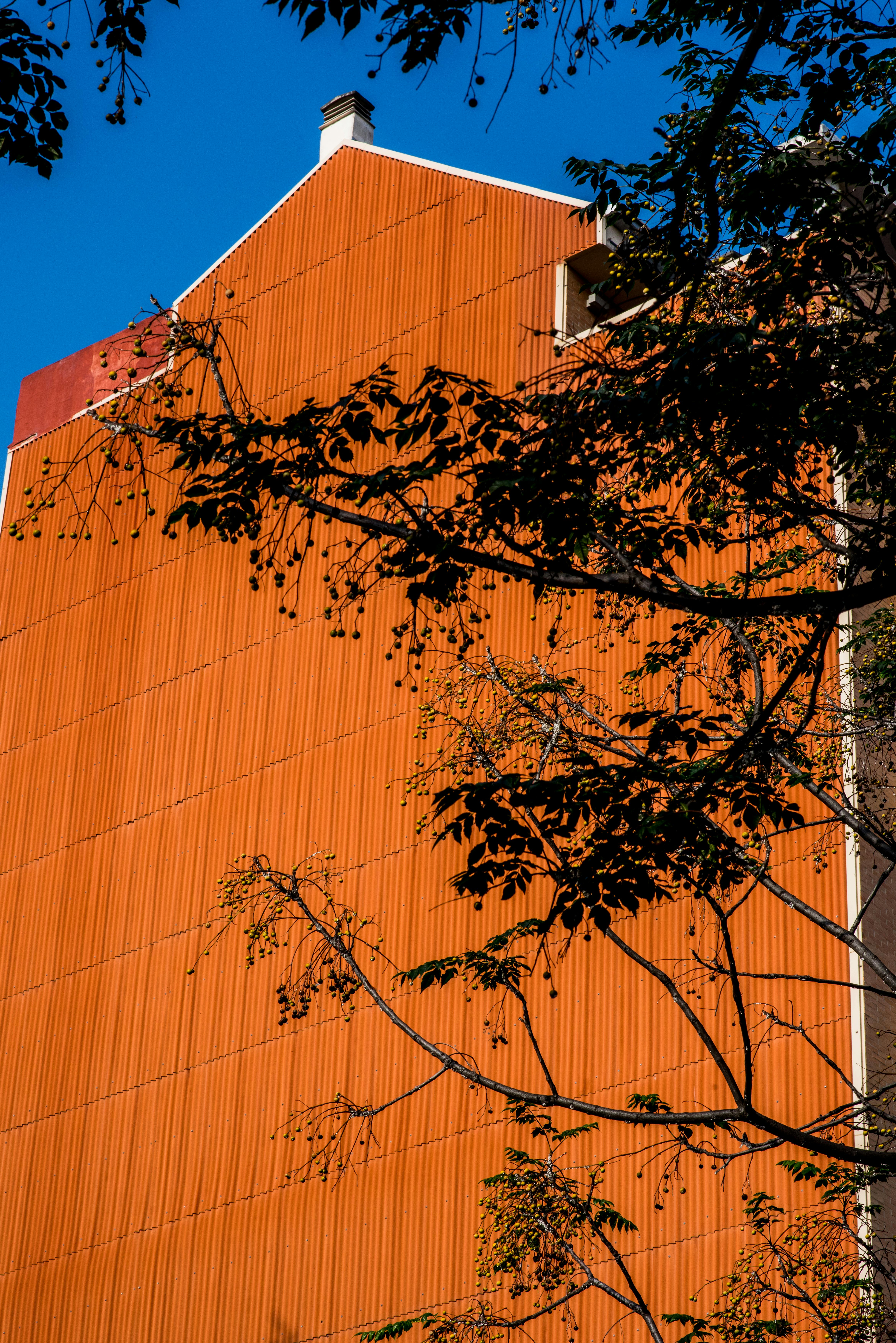 Line Correcto Photos, Download The BEST Free Line Correcto Stock Photos ...