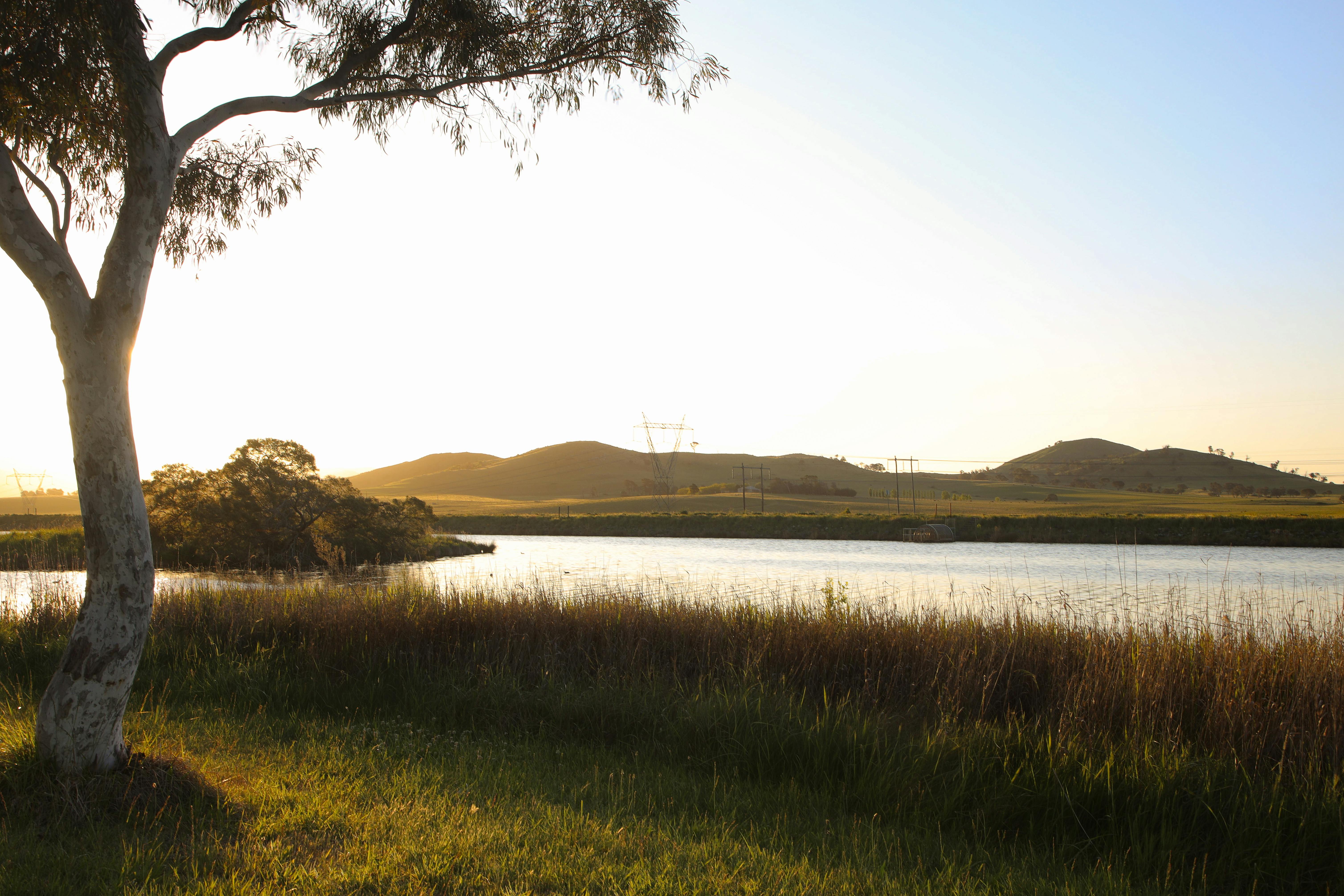 Wainwright Derecho De Paso Photos, Download The BEST Free Wainwright ...