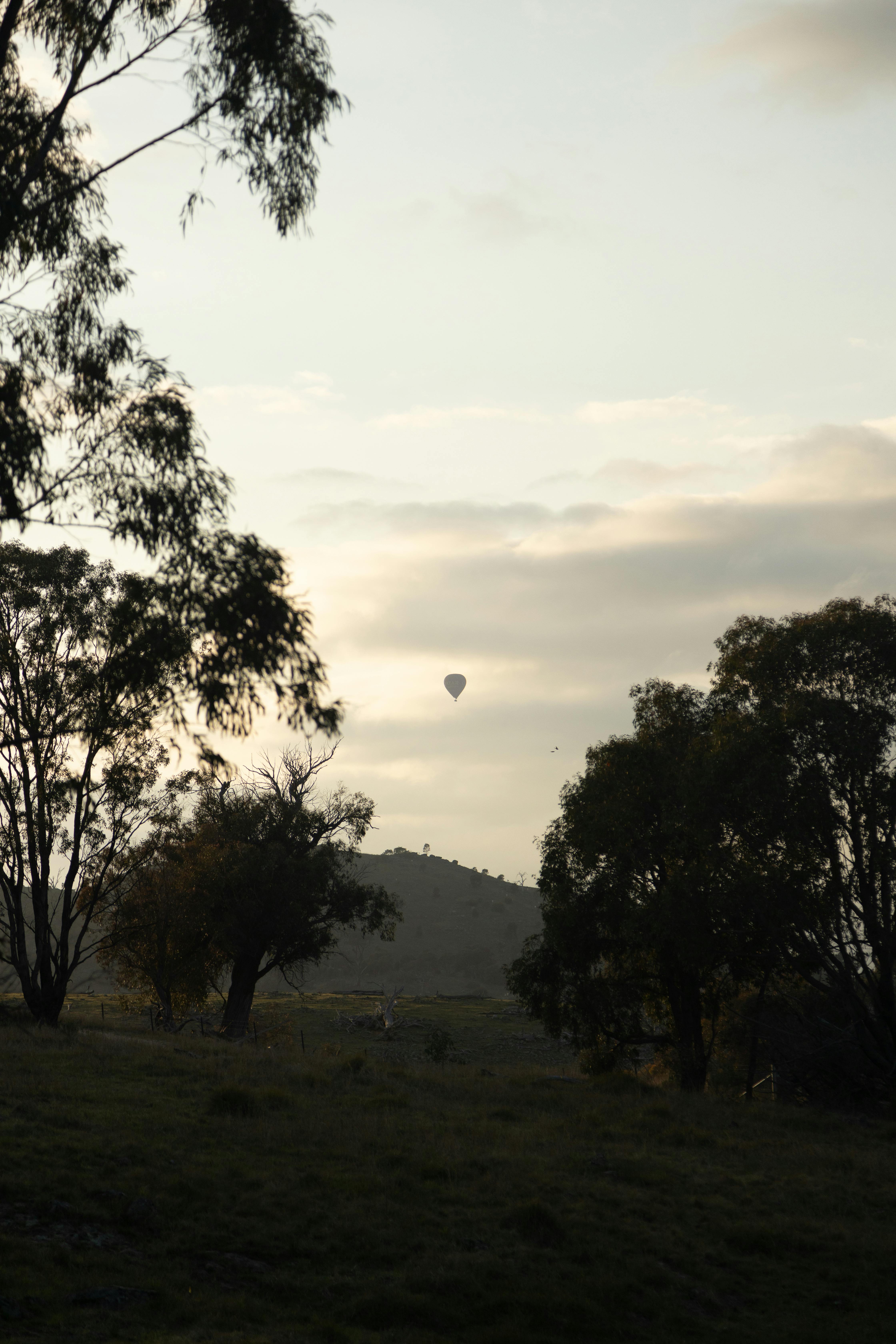 Uplift Photos, Download The BEST Free Uplift Stock Photos & HD Images