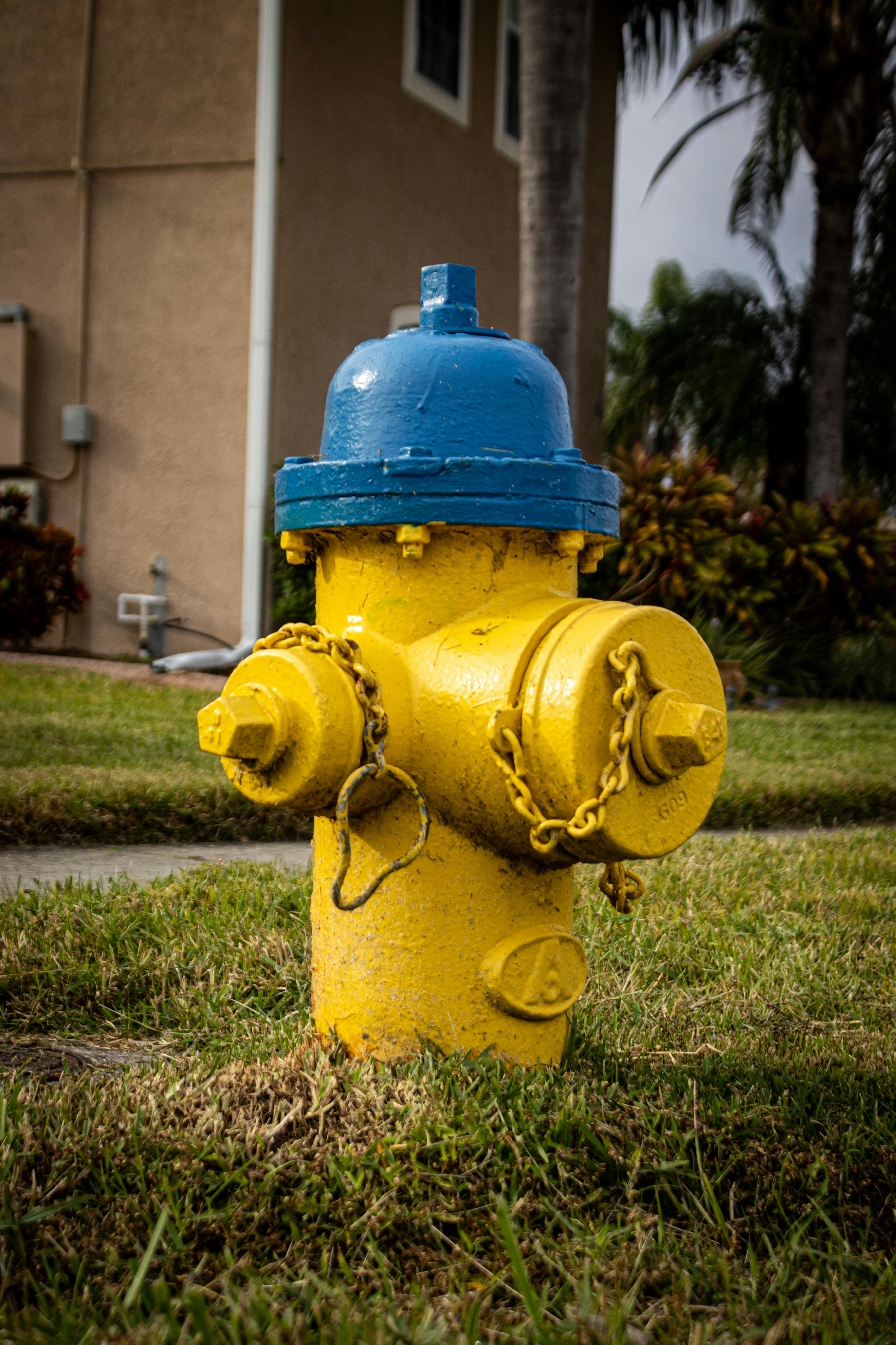 Hydrant Color Photos, Download The BEST Free Hydrant Color Stock Photos ...