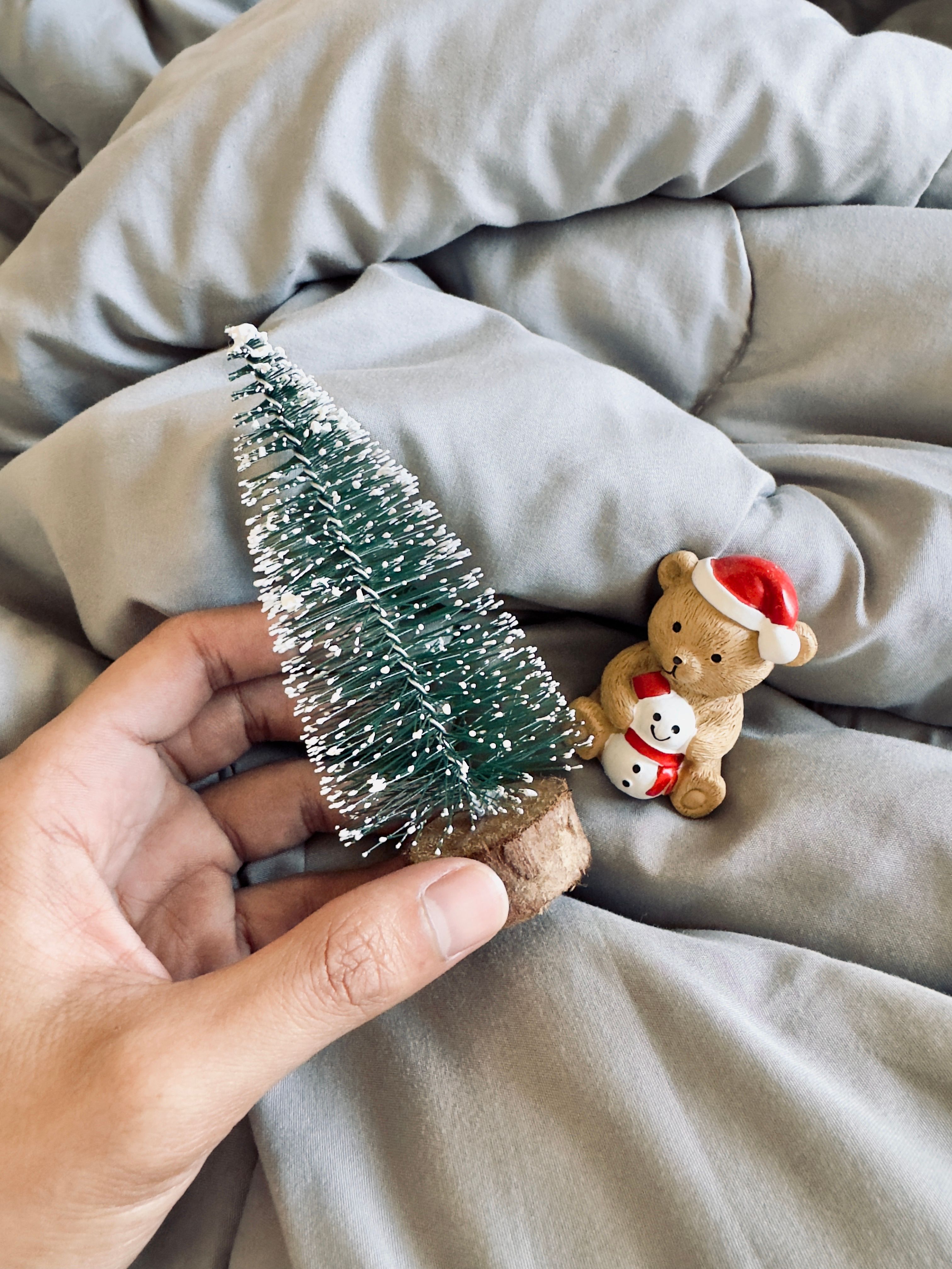 Cozy Christmas Scene with Bear and Mini Tree · Free Stock Photo