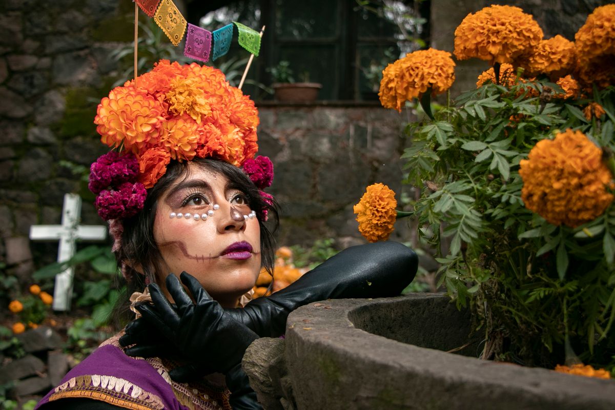 Day Of The Dead Photos, Download The BEST Free Day Of The Dead Stock ...