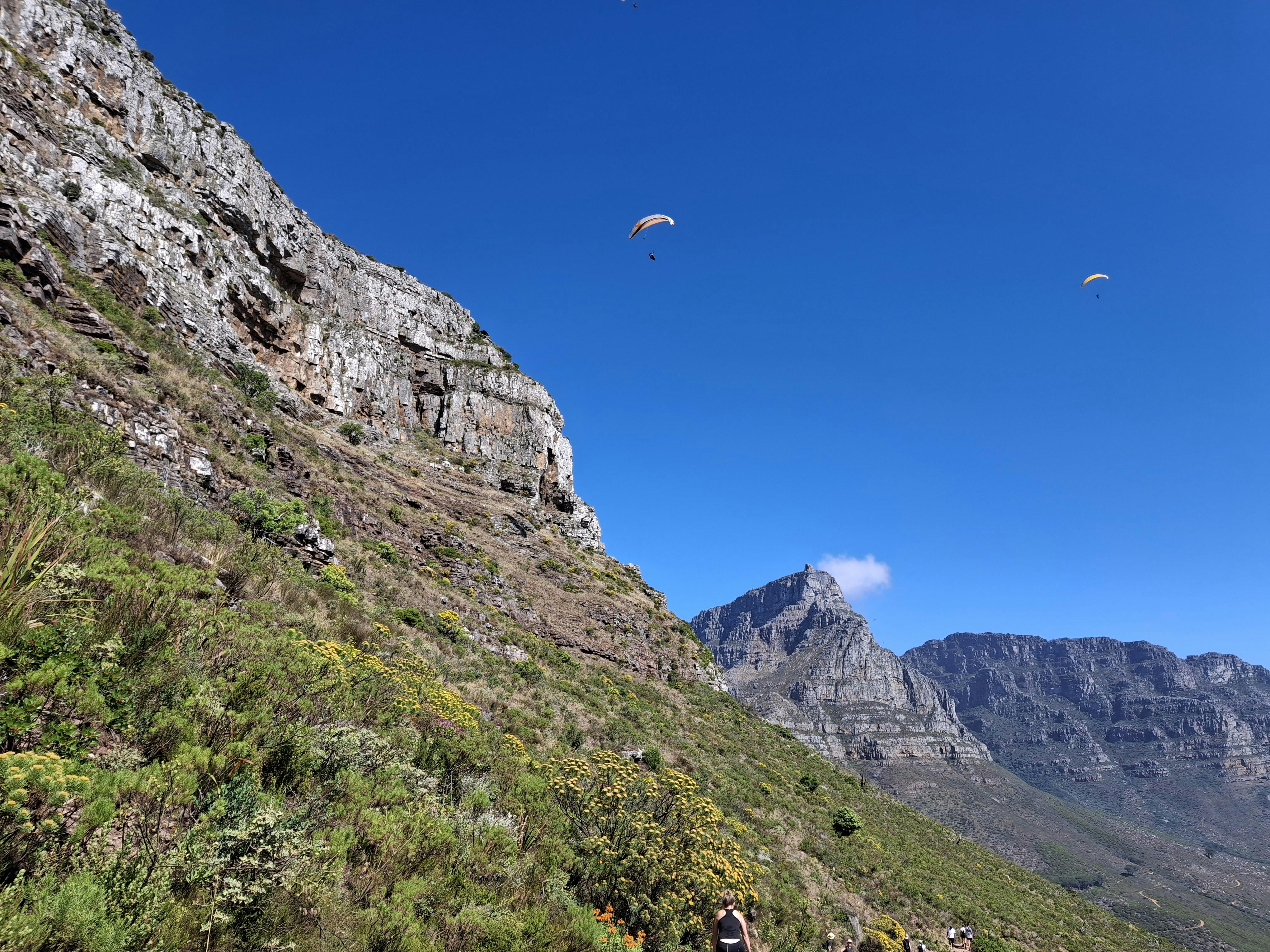 Vegetation Photos, Download The BEST Free Vegetation Stock Photos & HD ...