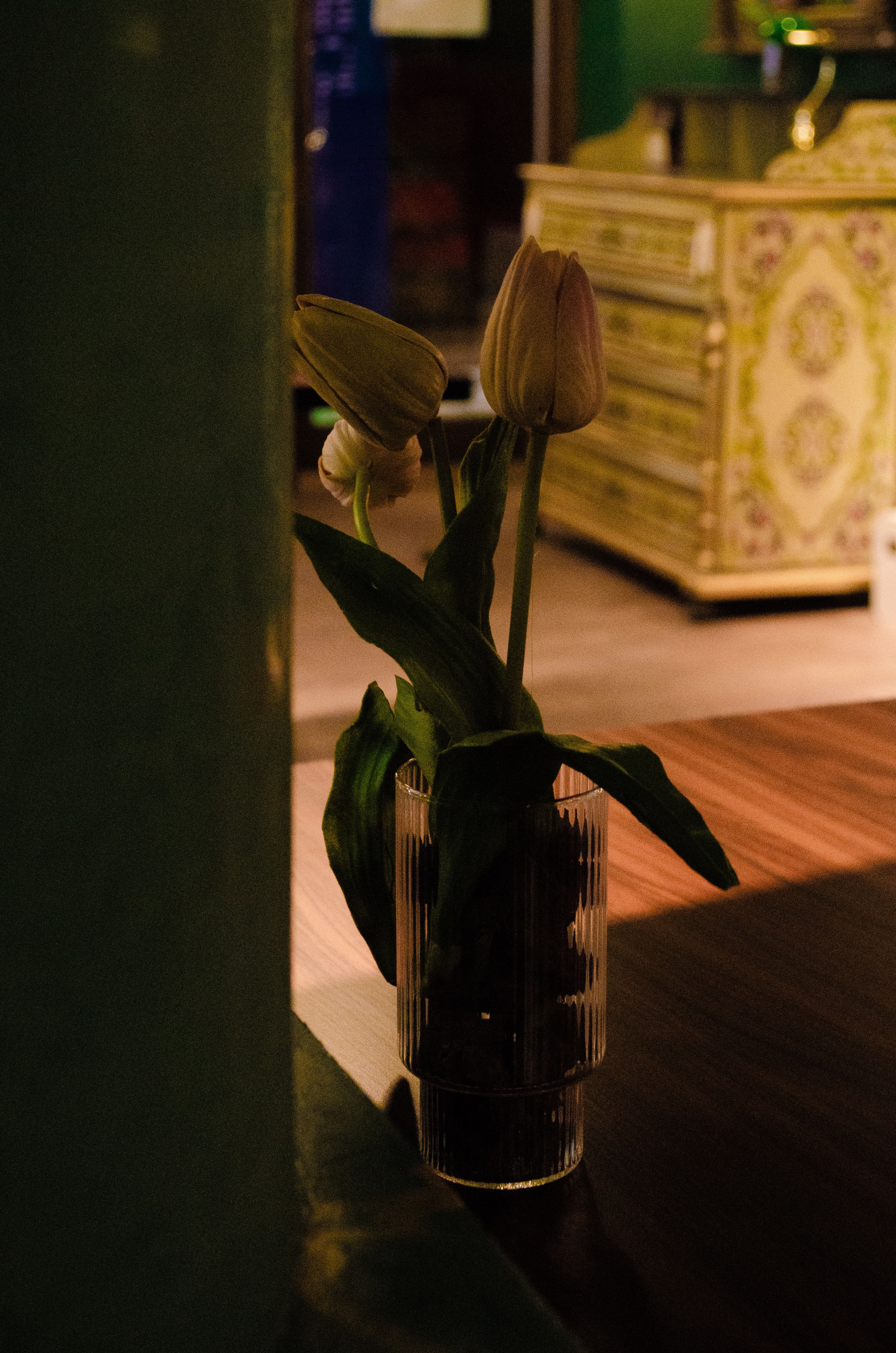 Moody Indoor Still Life with Tulips in Vase · Free Stock Photo