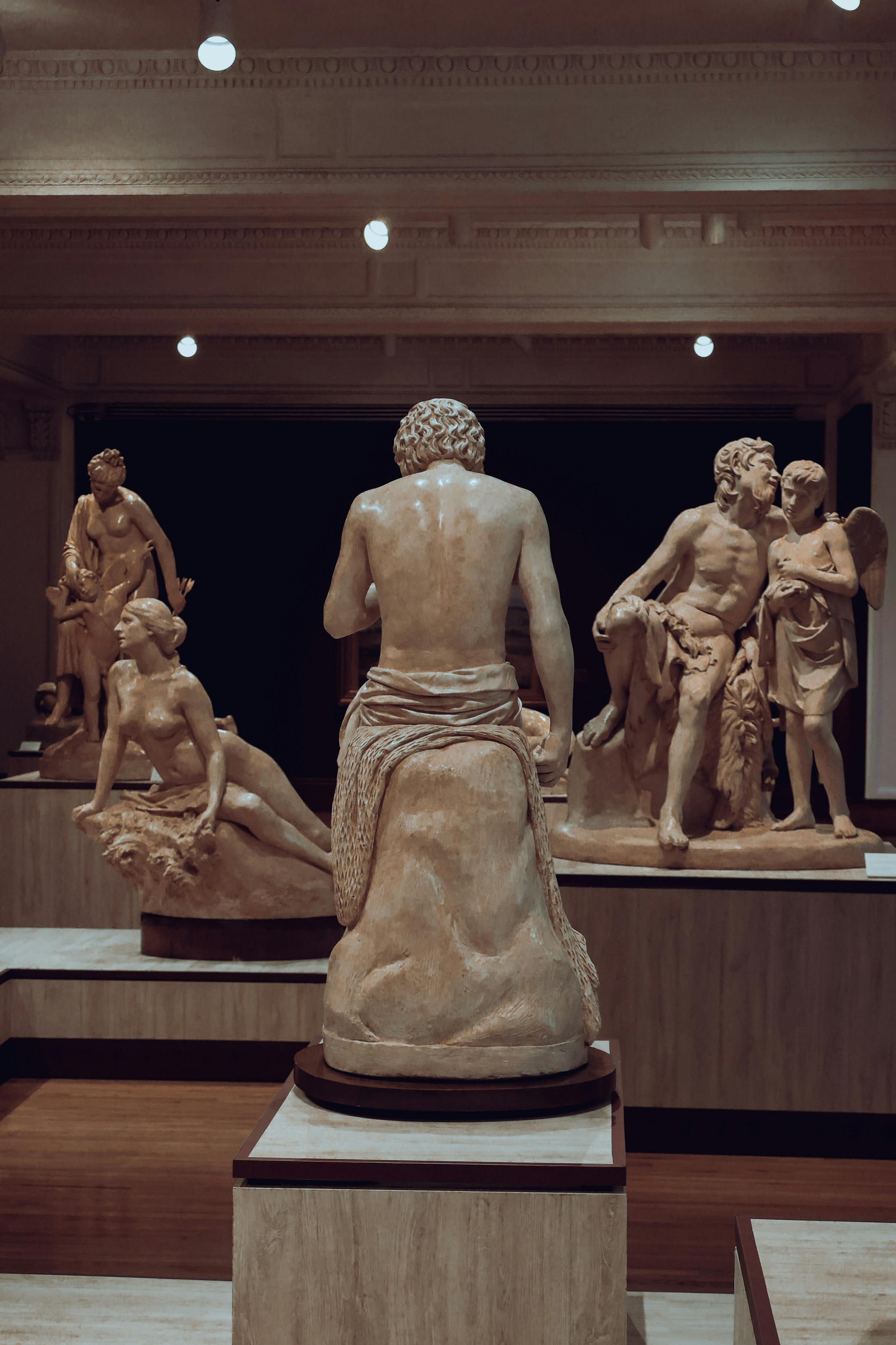 Classical Marble Sculptures in Art Museum · Free Stock Photo