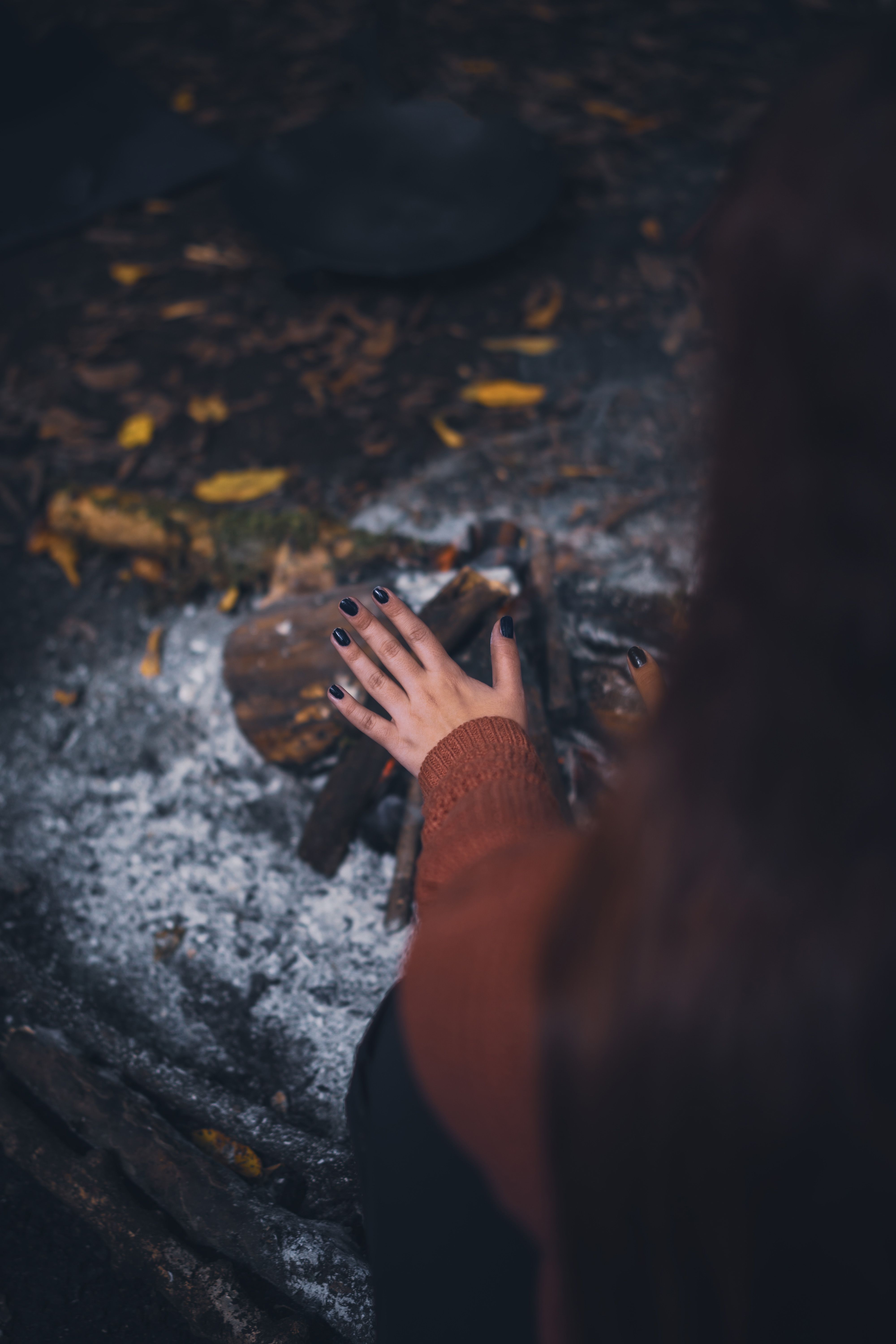 Cozy Campfire Setting in Autumn Forest · Free Stock Photo