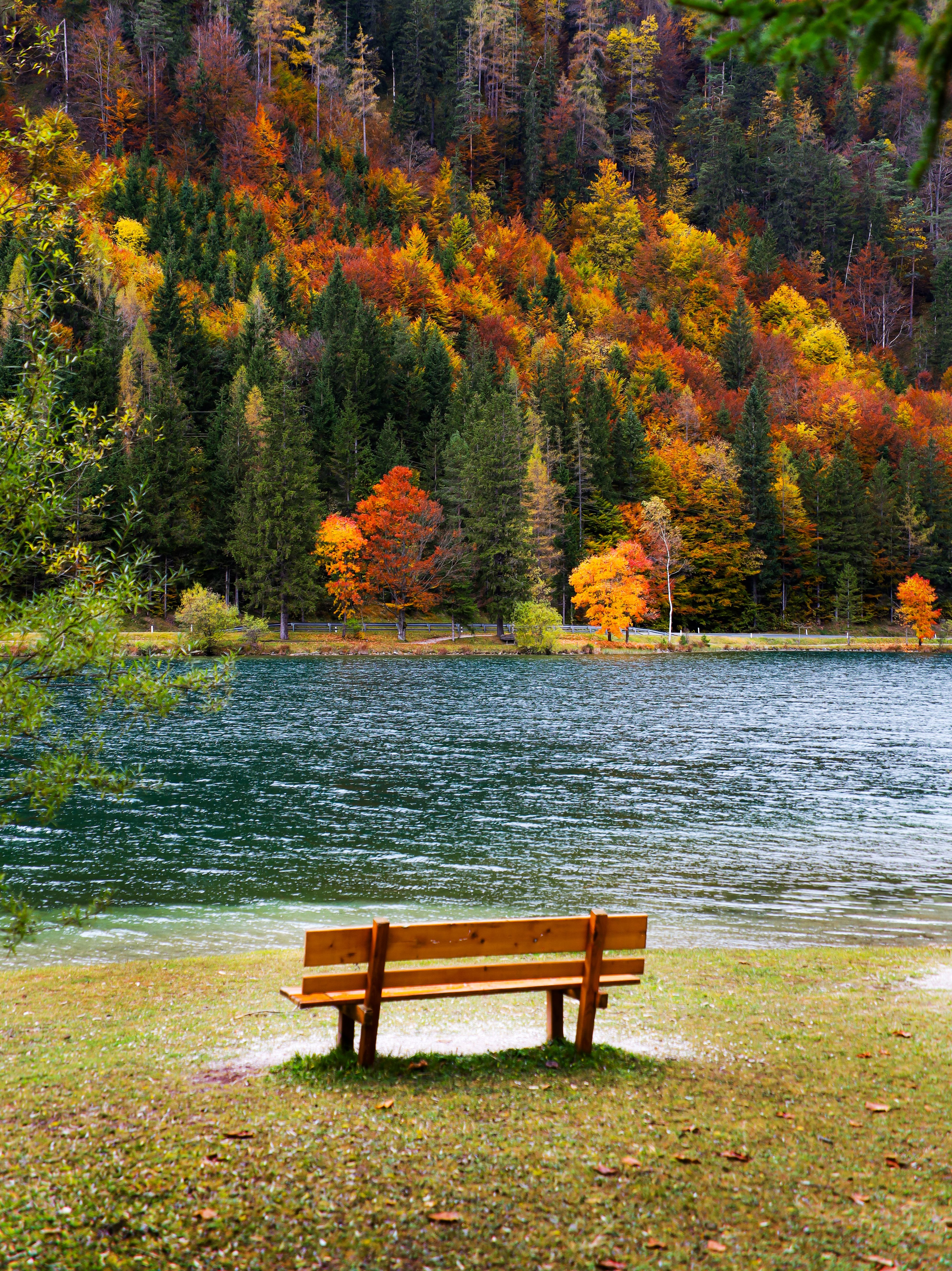 Scenic Autumn Lakeview with Park Bench · Free Stock Photo