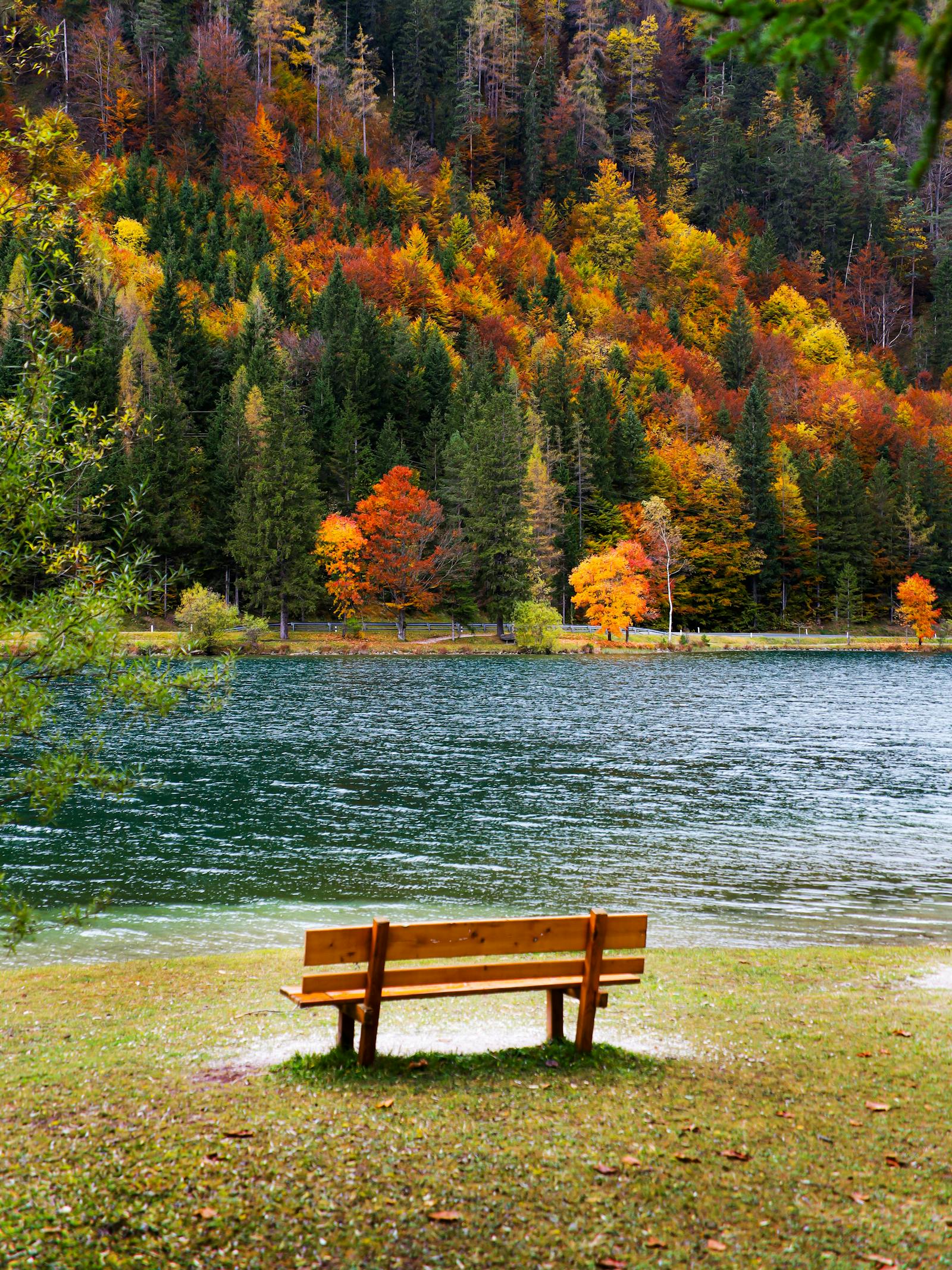 Autumn Landscape Photos, Download The BEST Free Autumn Landscape Stock ...